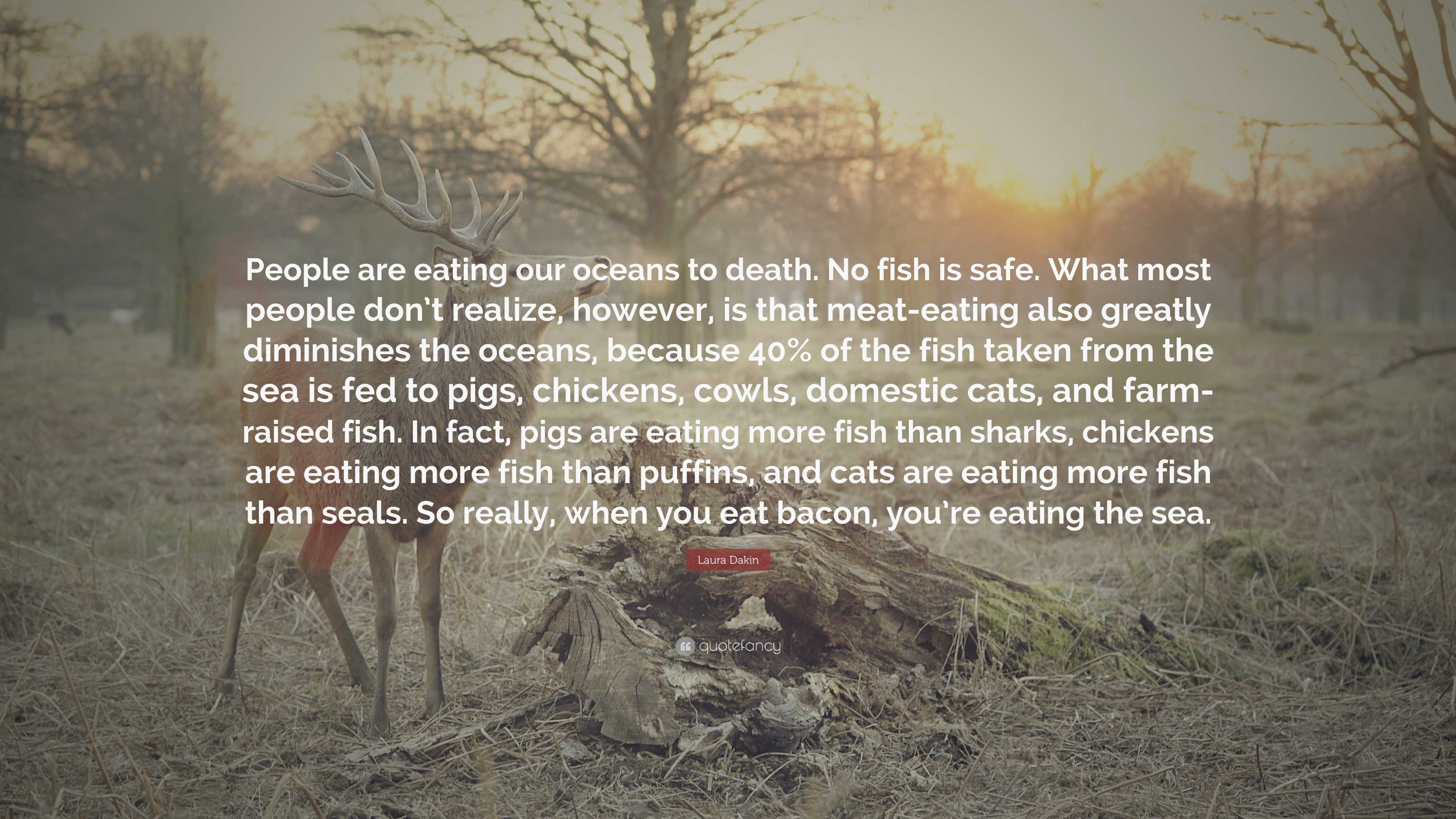 Laura Dakin Quote: “People are eating our oceans to death. No fish is ...
