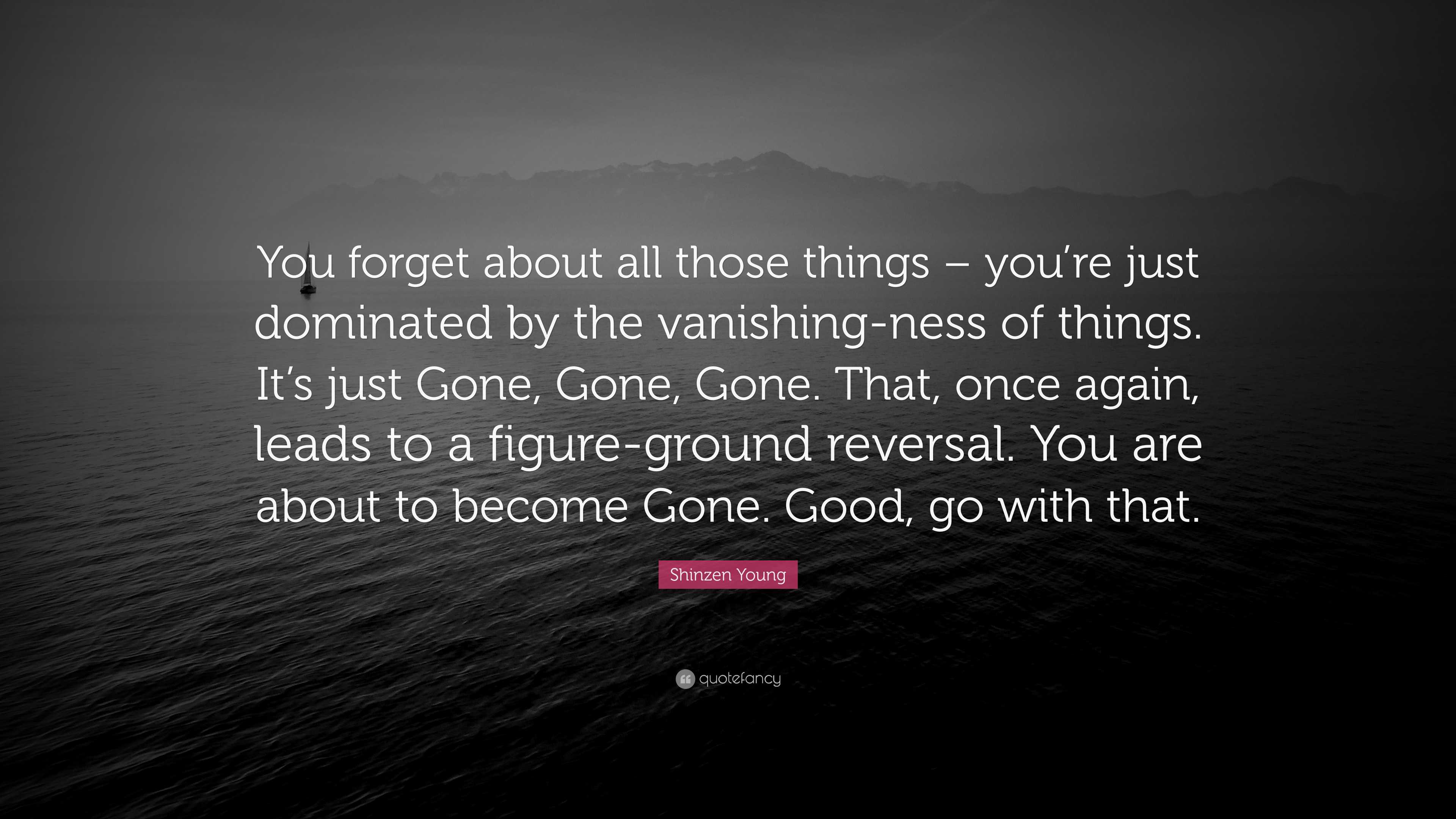 Shinzen Young Quote: “You forget about all those things – you’re just ...