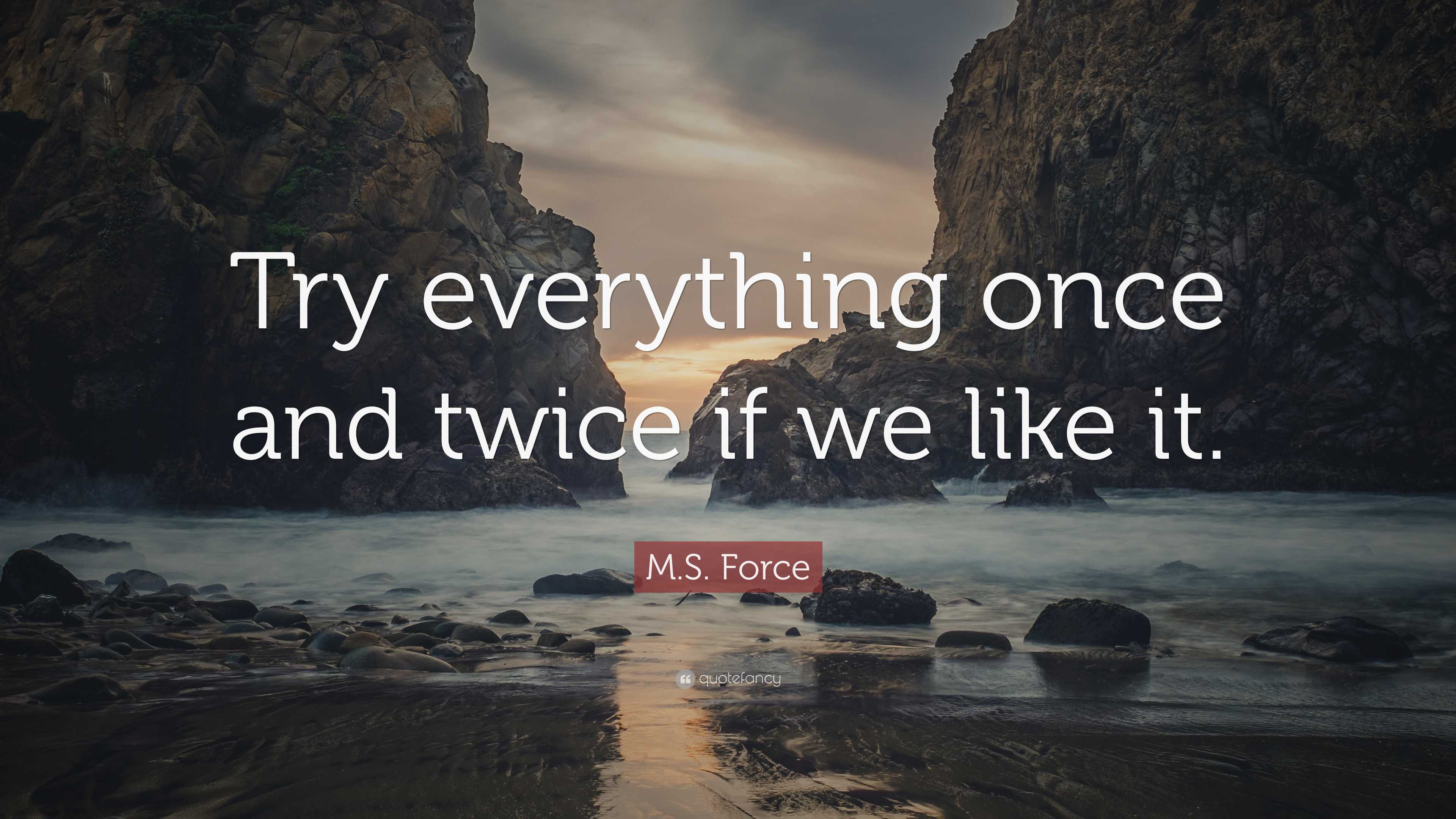 M.S. Force Quote: “Try everything once and twice if we like it.”