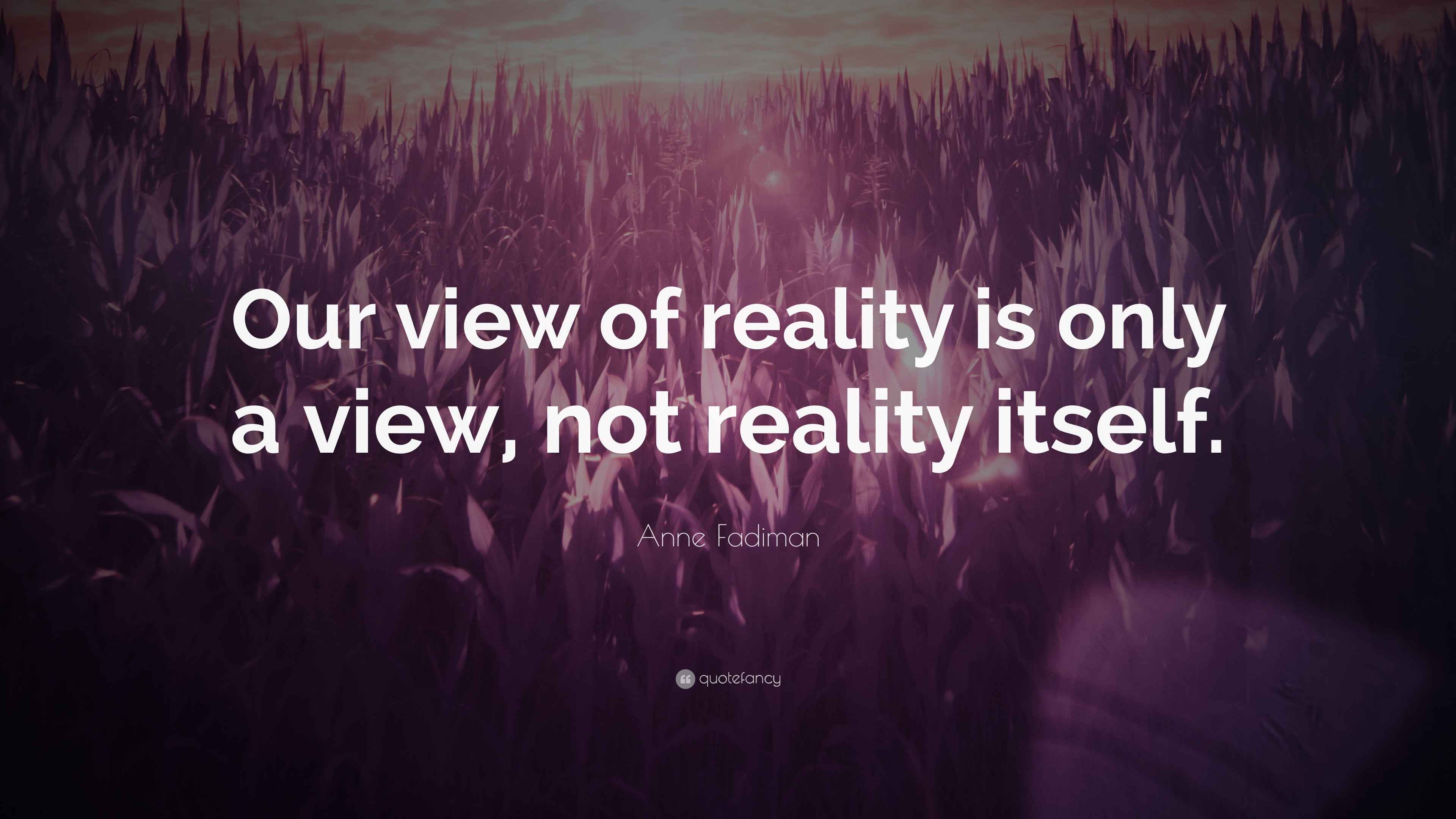 Anne Fadiman Quote: “Our view of reality is only a view, not reality ...
