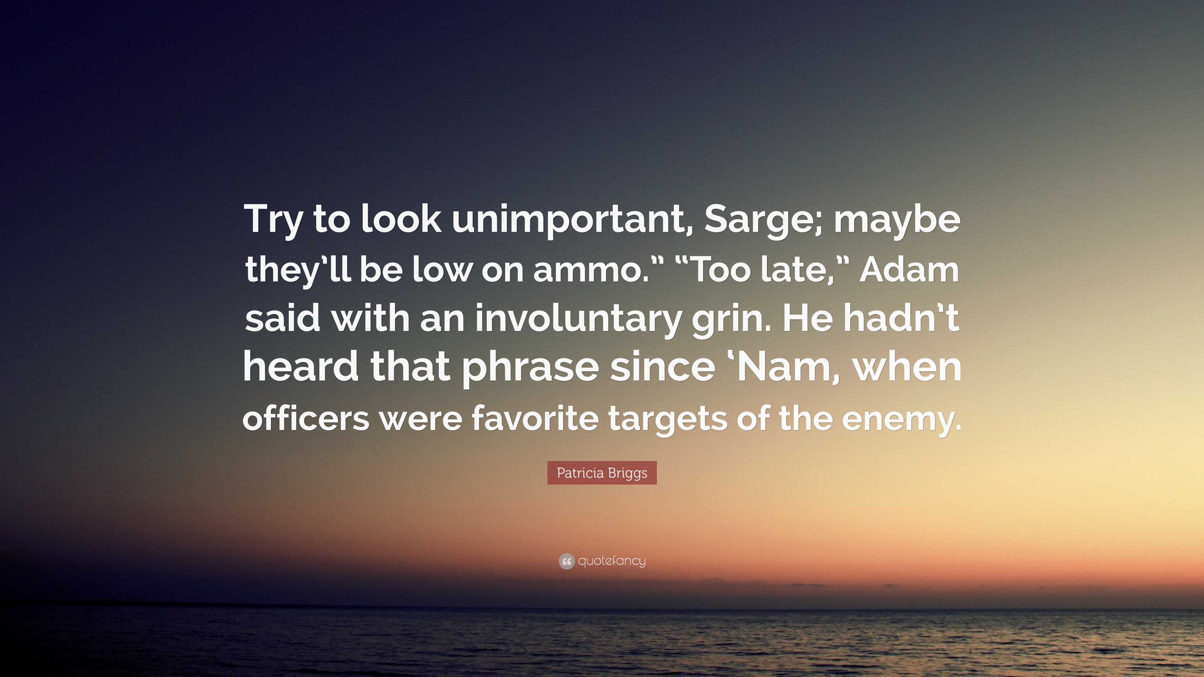 Patricia Briggs Quote: “Try to look unimportant, Sarge; maybe they’ll ...