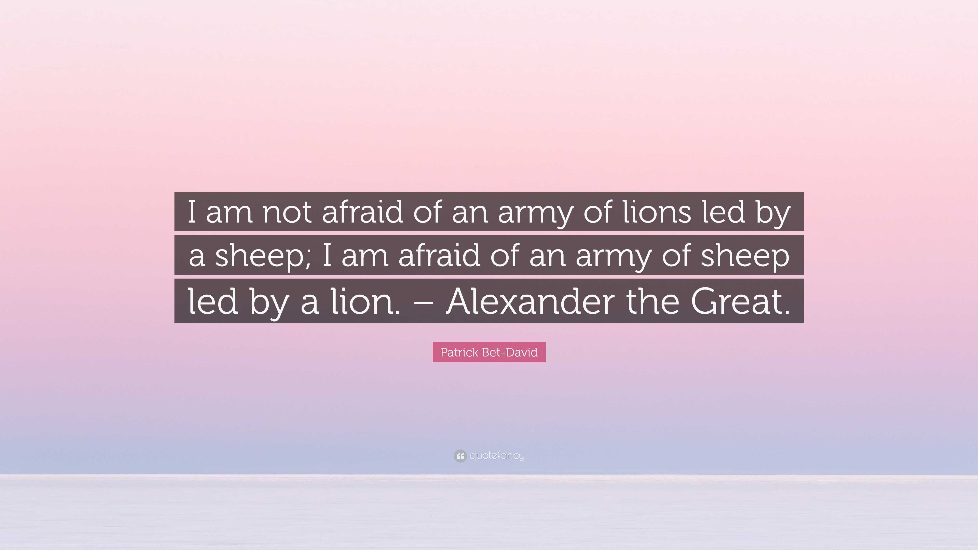 Patrick Bet-David Quote: “I am not afraid of an army of lions led by a ...