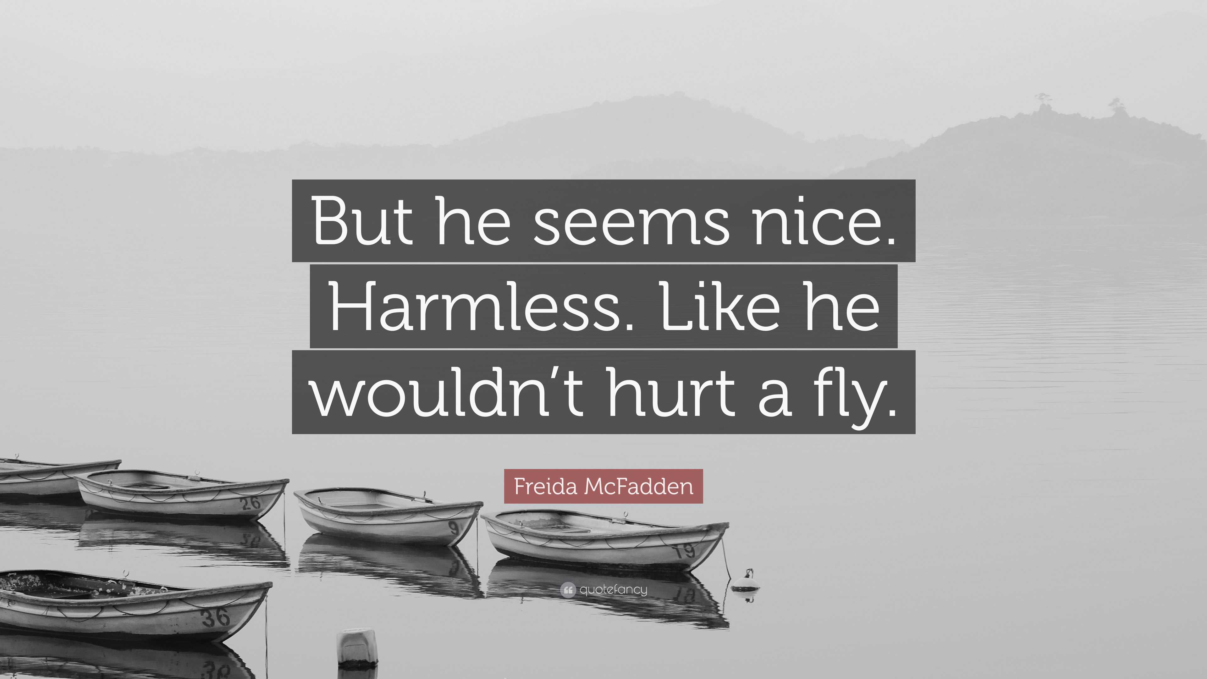 Freida McFadden Quote: “But he seems nice. Harmless. Like he wouldn’t ...