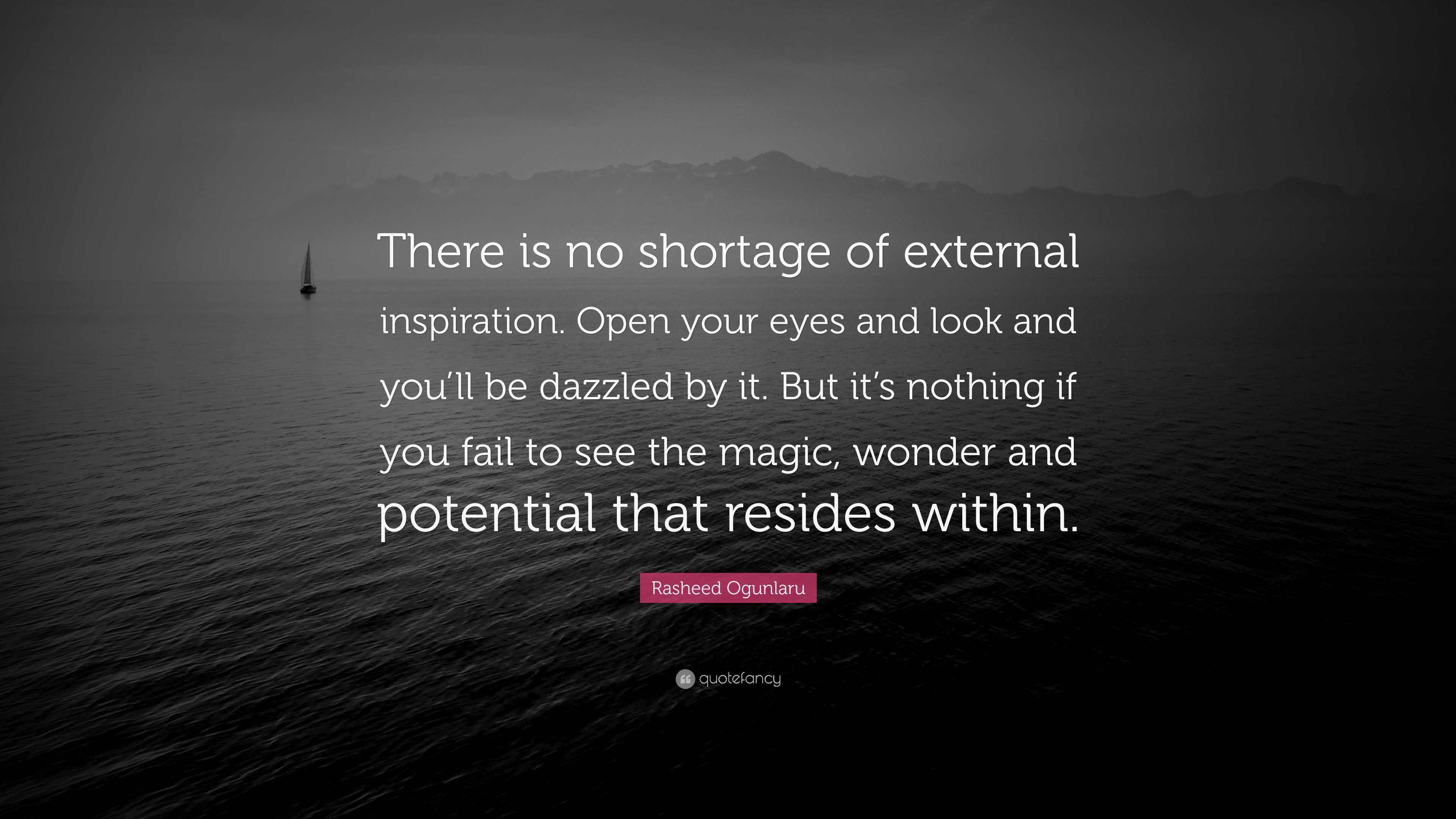 Rasheed Ogunlaru Quote: “There is no shortage of external inspiration ...