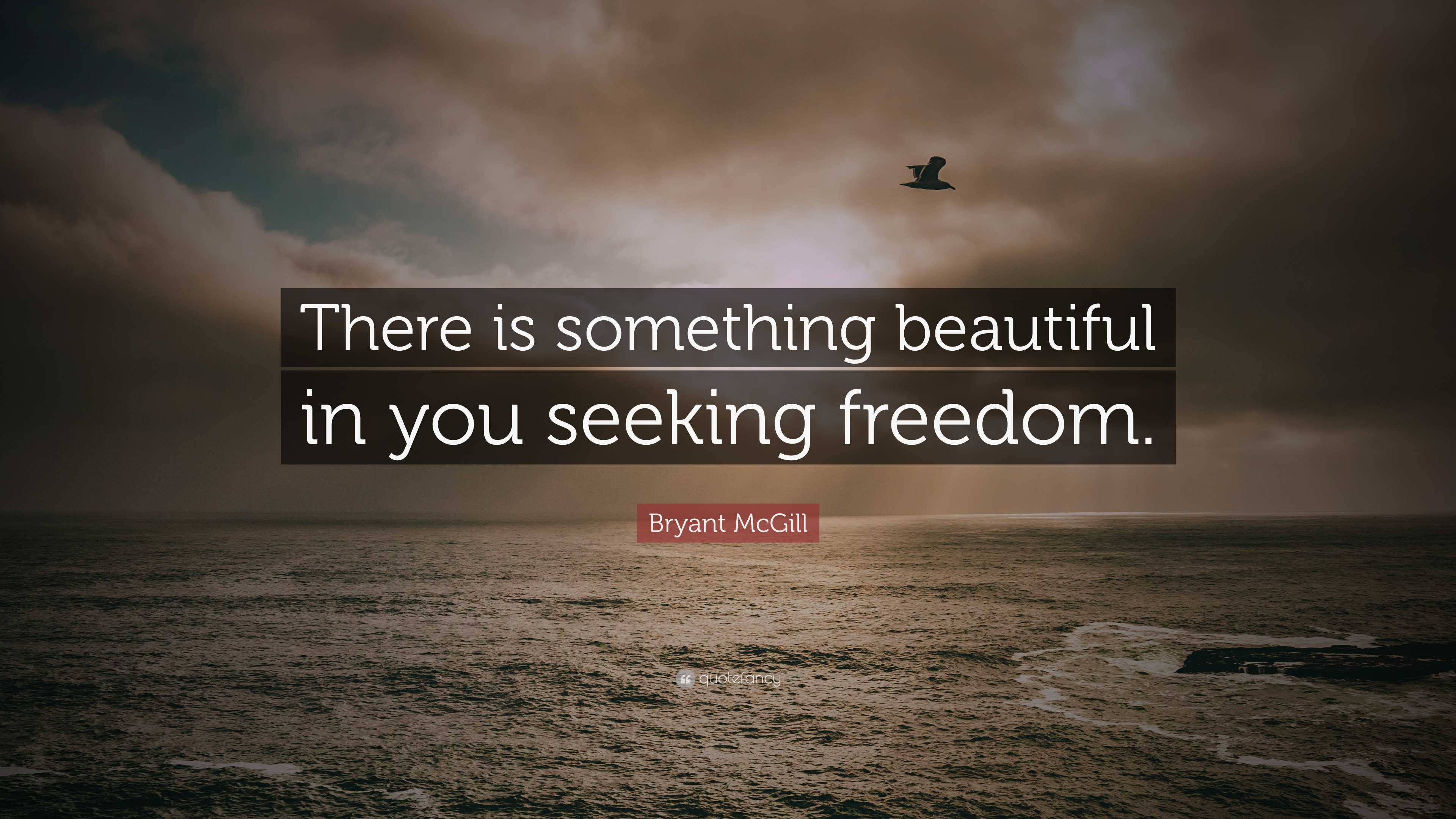 Bryant McGill Quote: “There is something beautiful in you seeking freedom.”