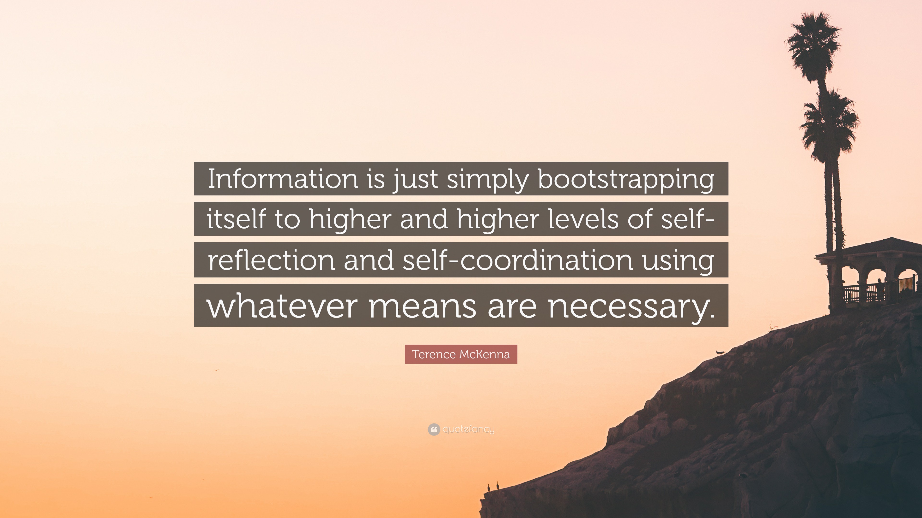 Terence McKenna Quote: “Information is just simply bootstrapping itself ...