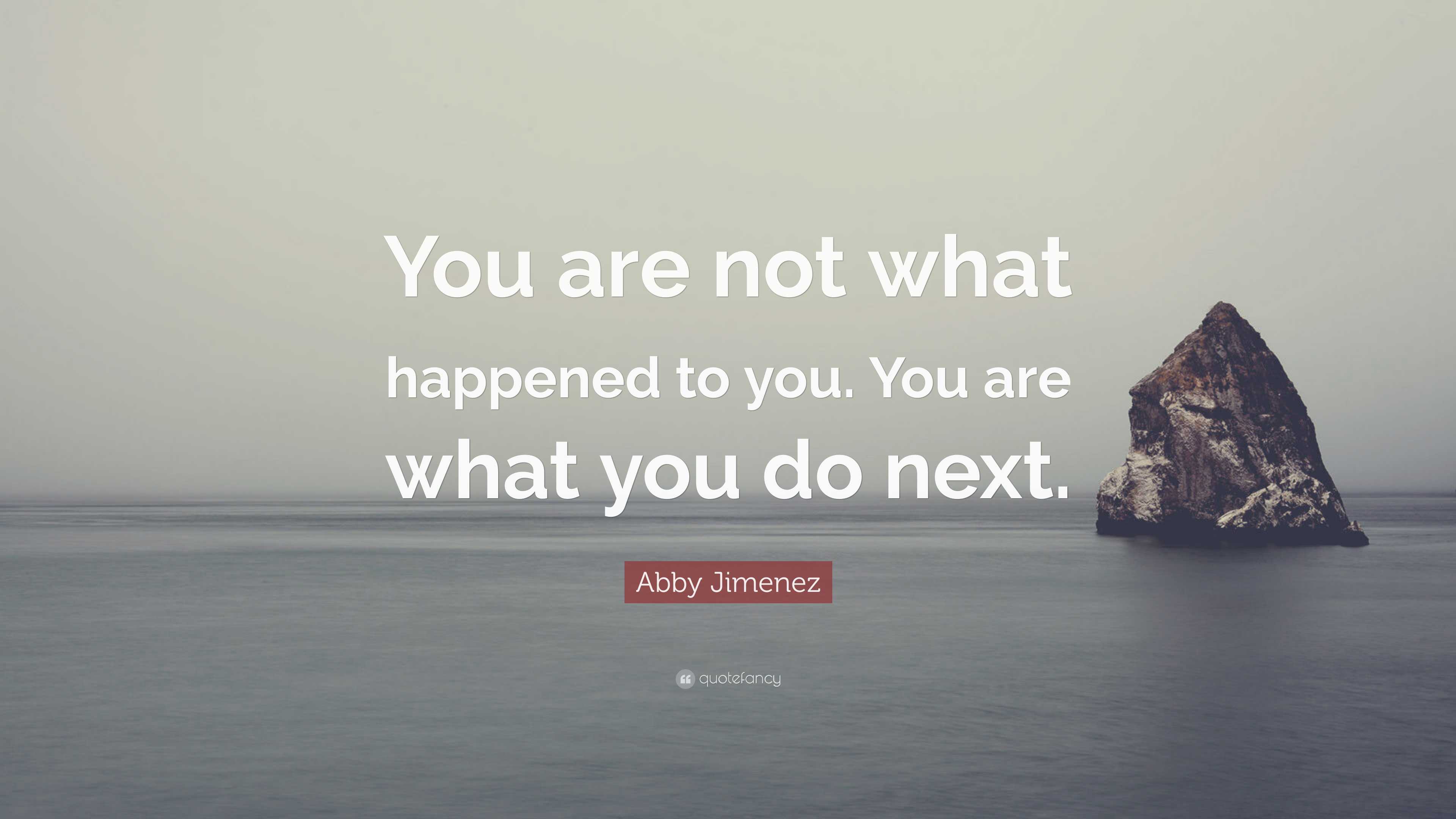 Abby Jimenez Quote: “You are not what happened to you. You are what you ...