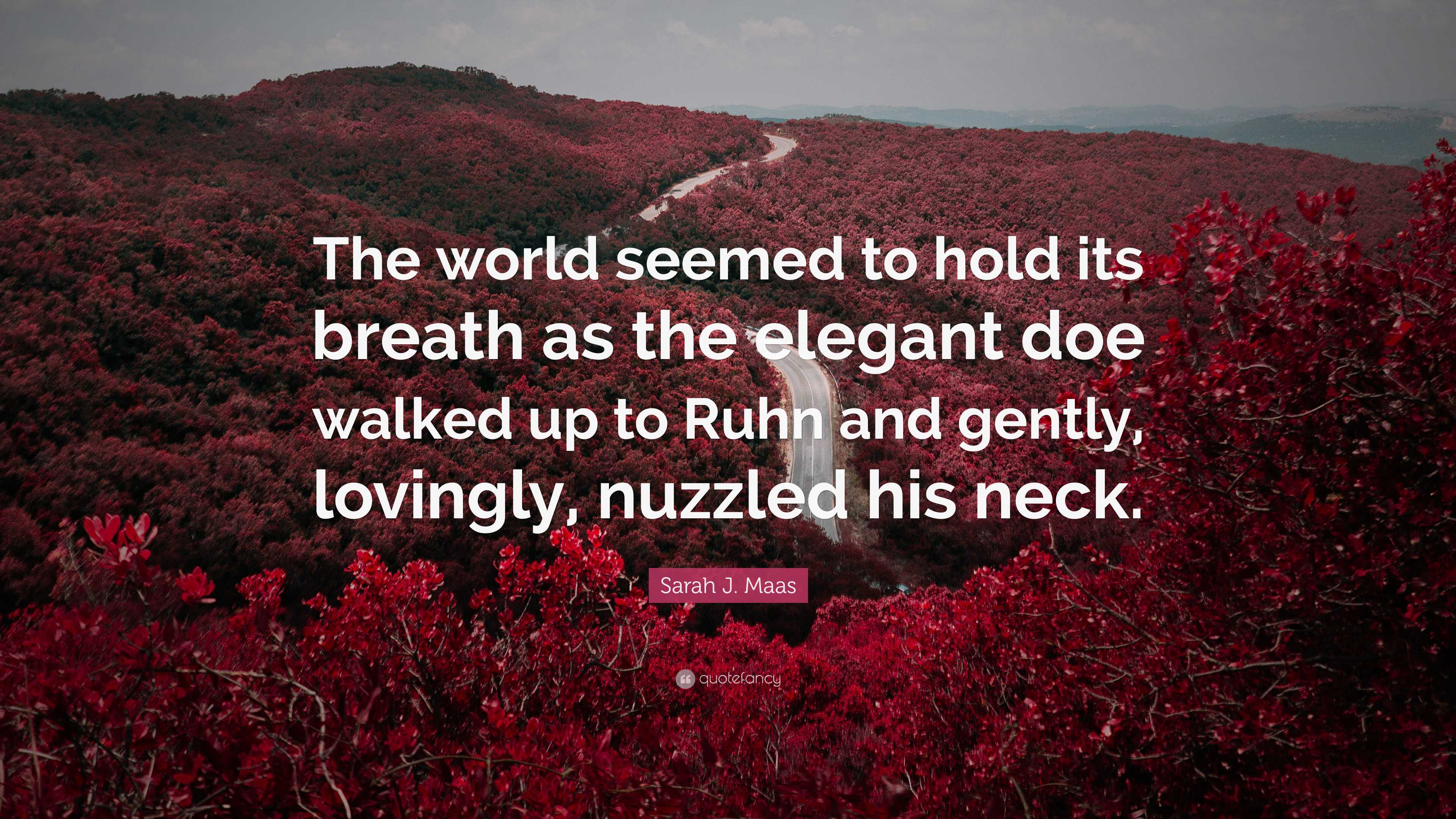 Sarah J. Maas Quote: “The world seemed to hold its breath as the ...