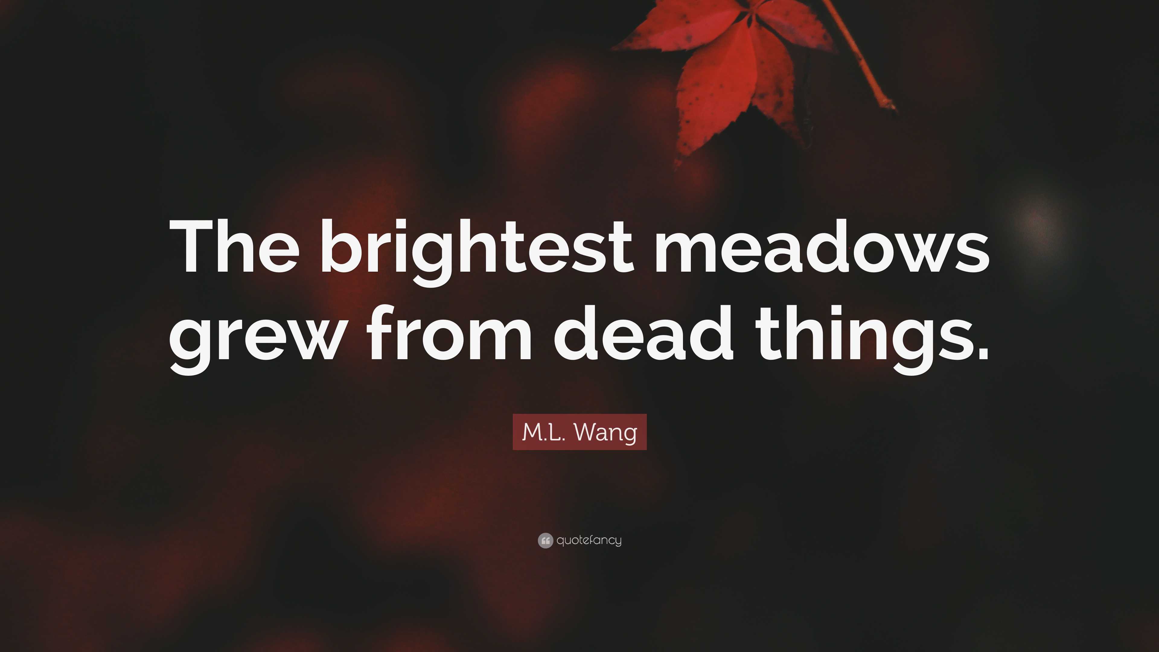 M.L. Wang Quote: “The brightest meadows grew from dead things.”