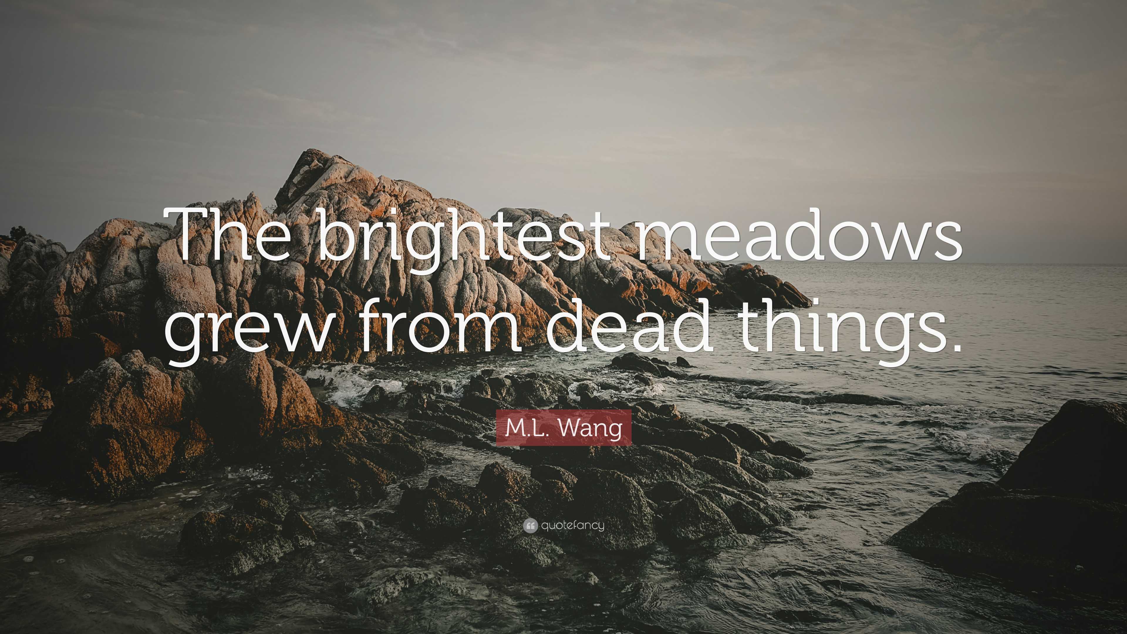 M.L. Wang Quote: “The brightest meadows grew from dead things.”