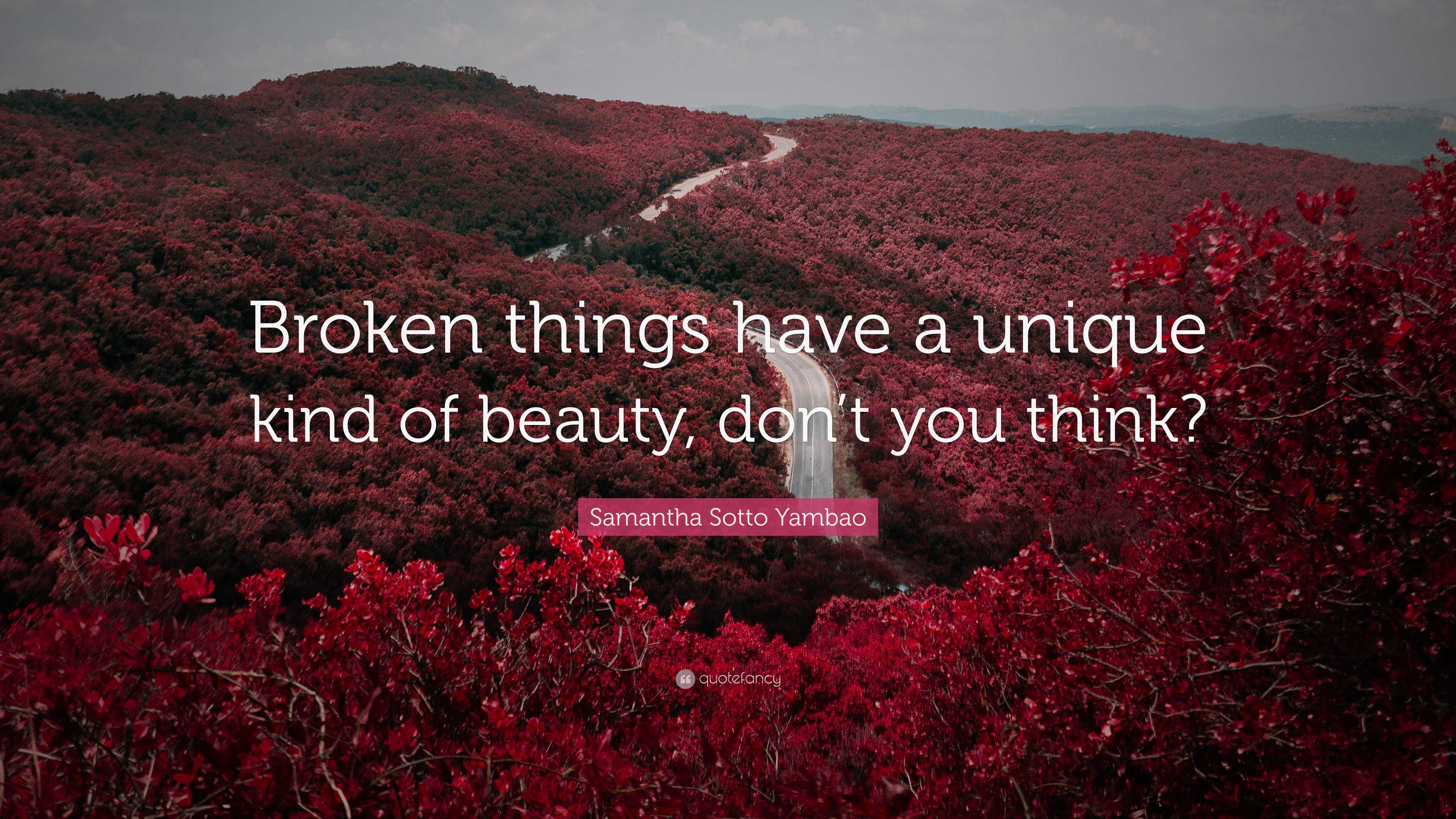Samantha Sotto Yambao Quote: “Broken things have a unique kind of ...