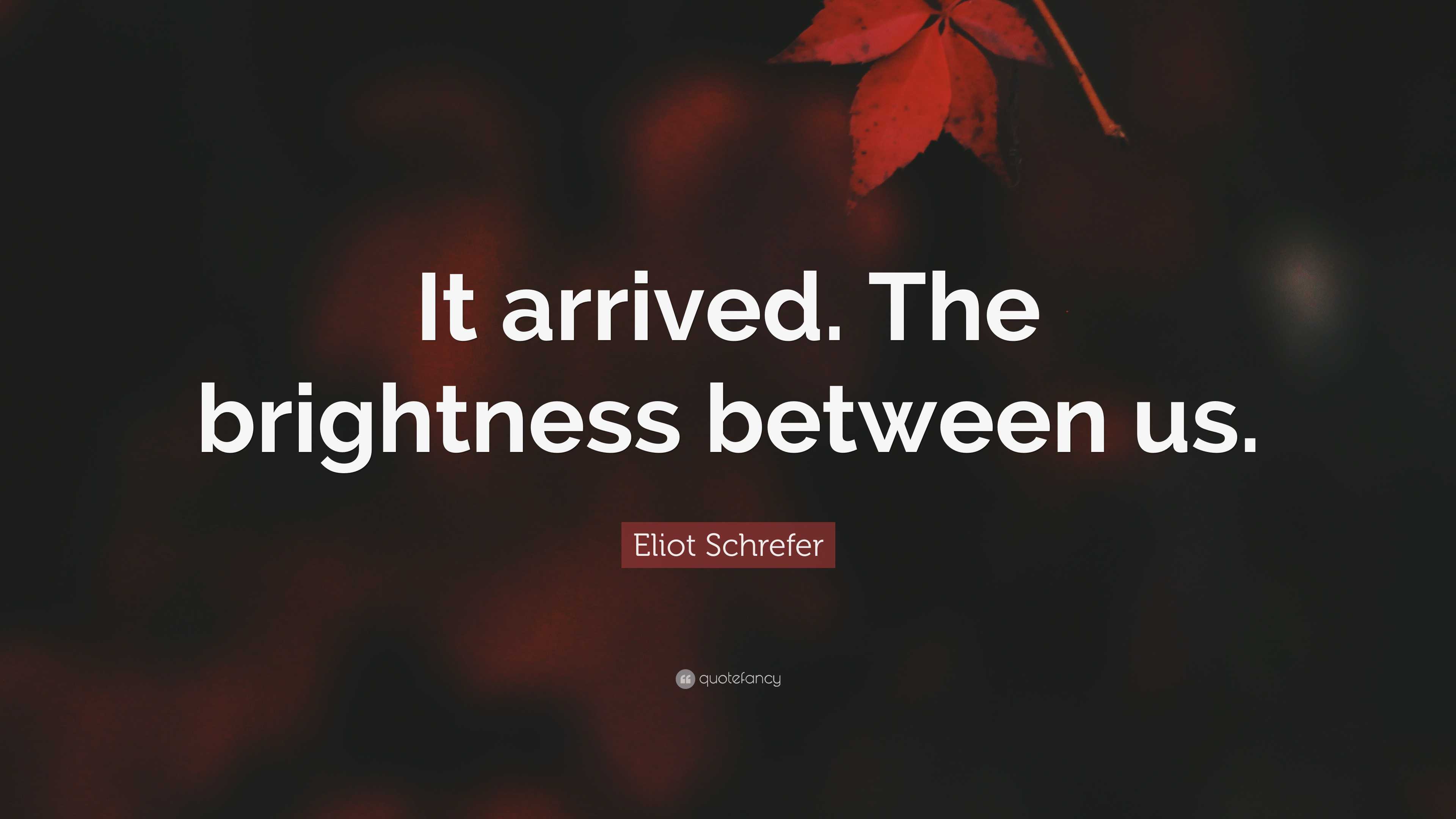Eliot Schrefer Quote: “It arrived. The brightness between us.”