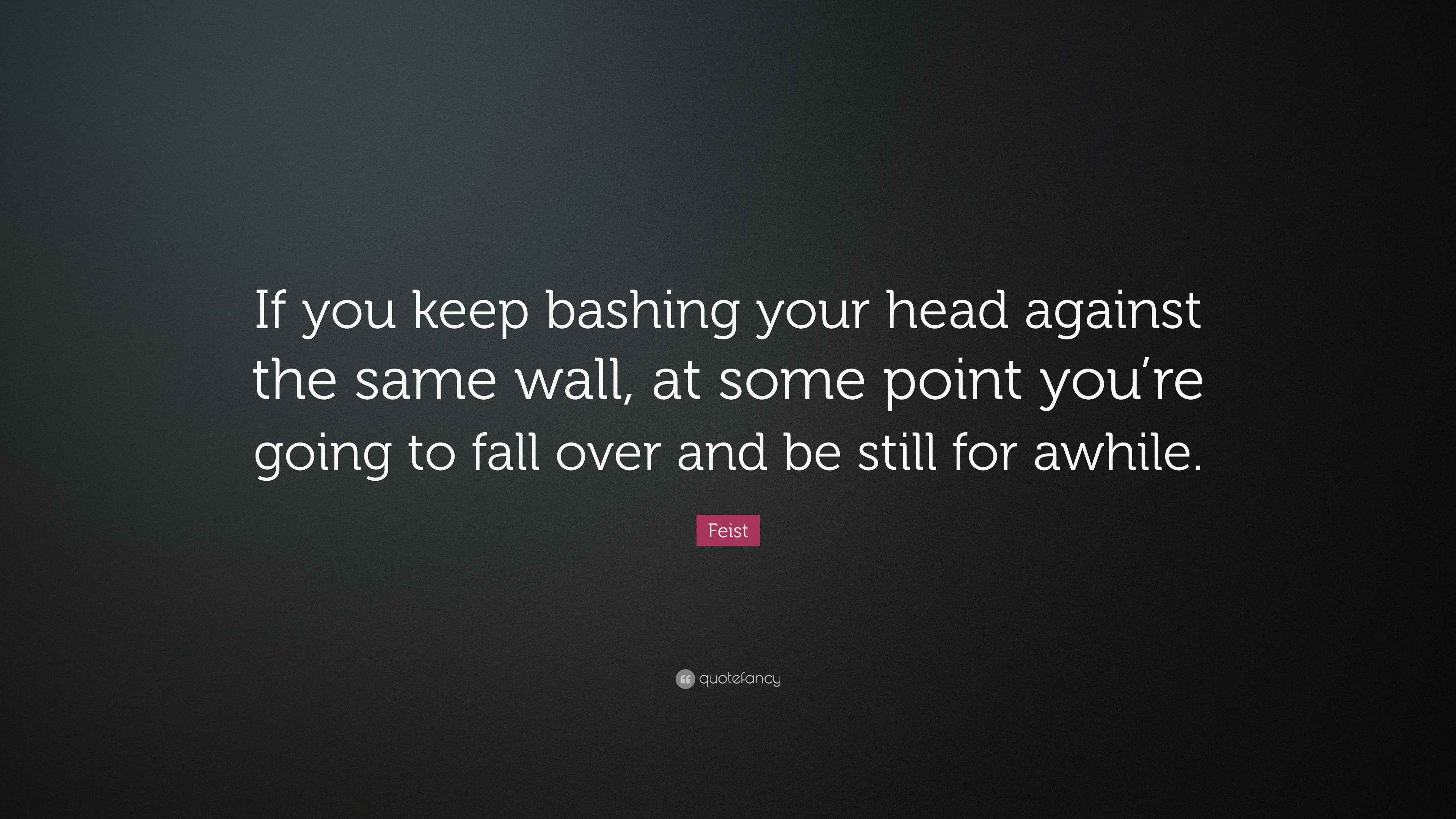 Feist Quote: “If you keep bashing your head against the same wall, at ...