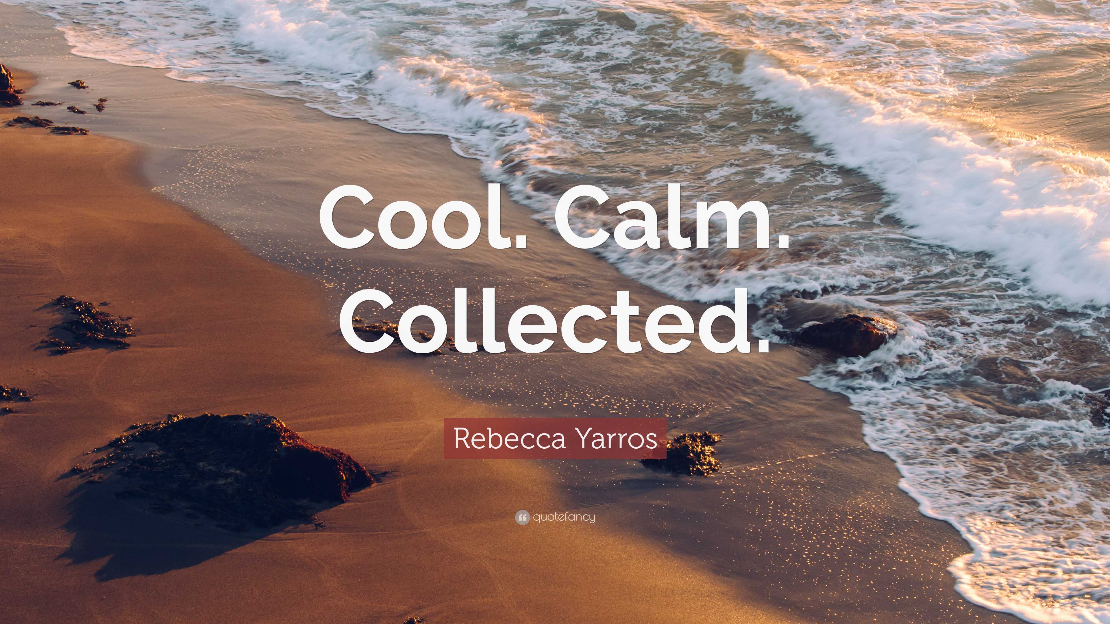Rebecca Yarros Quote: “Cool. Calm. Collected.”