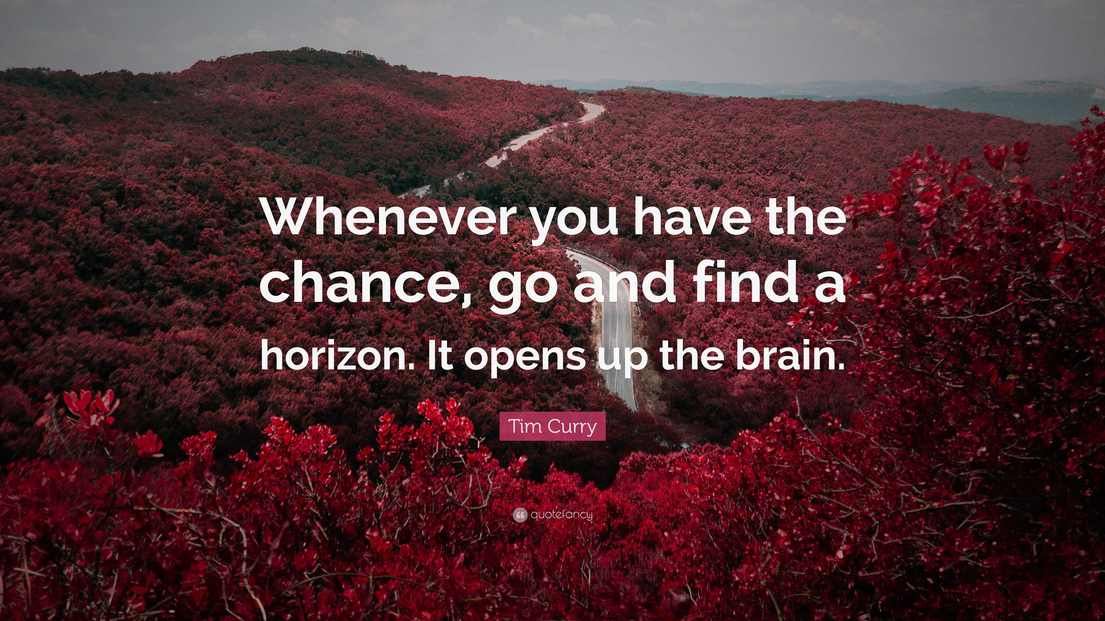 Tim Curry Quote: “Whenever you have the chance, go and find a horizon ...