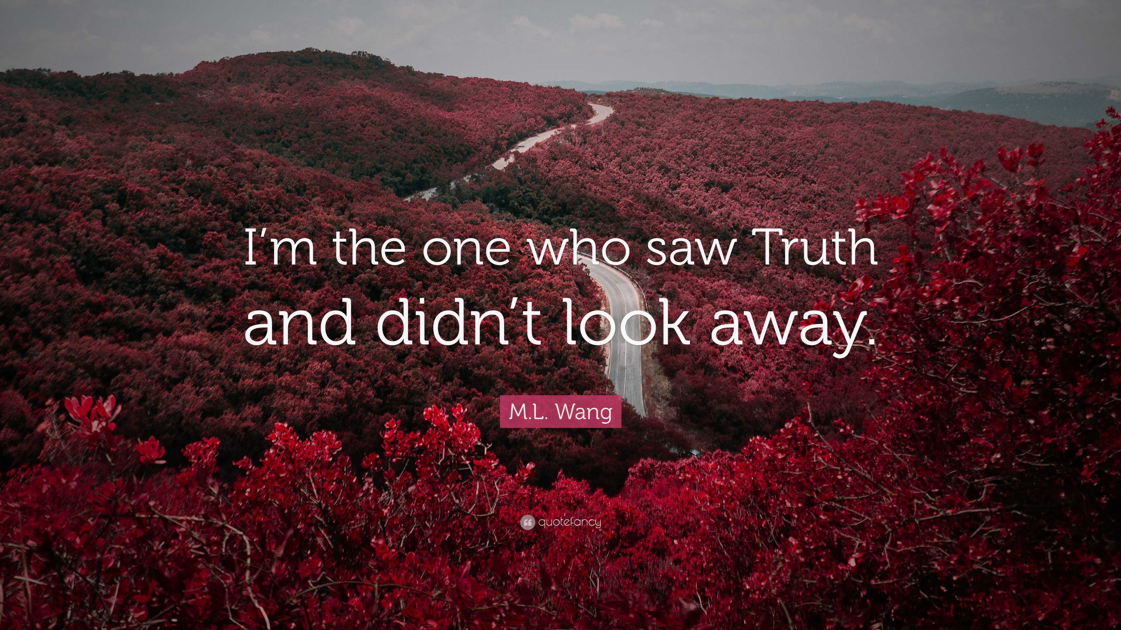 M.L. Wang Quote: “I’m the one who saw Truth and didn’t look away.”
