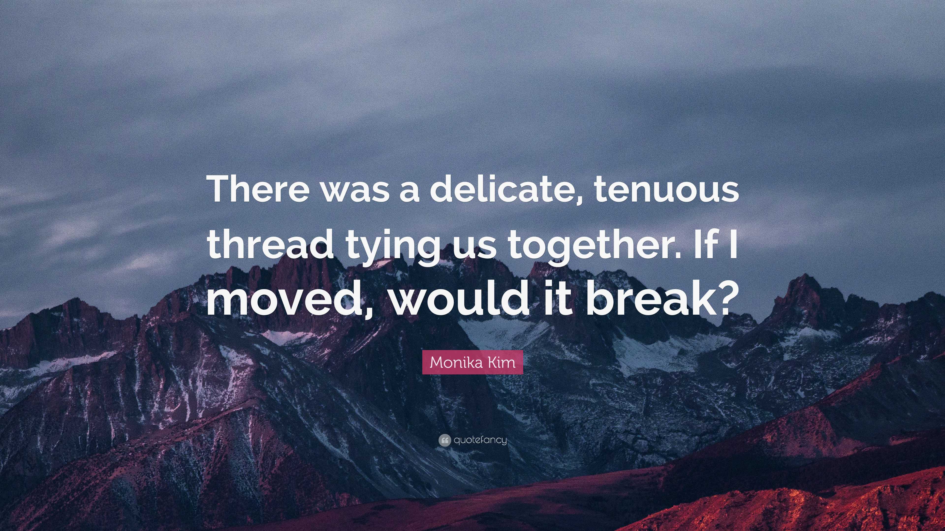 Monika Kim Quote: “There was a delicate, tenuous thread tying us ...