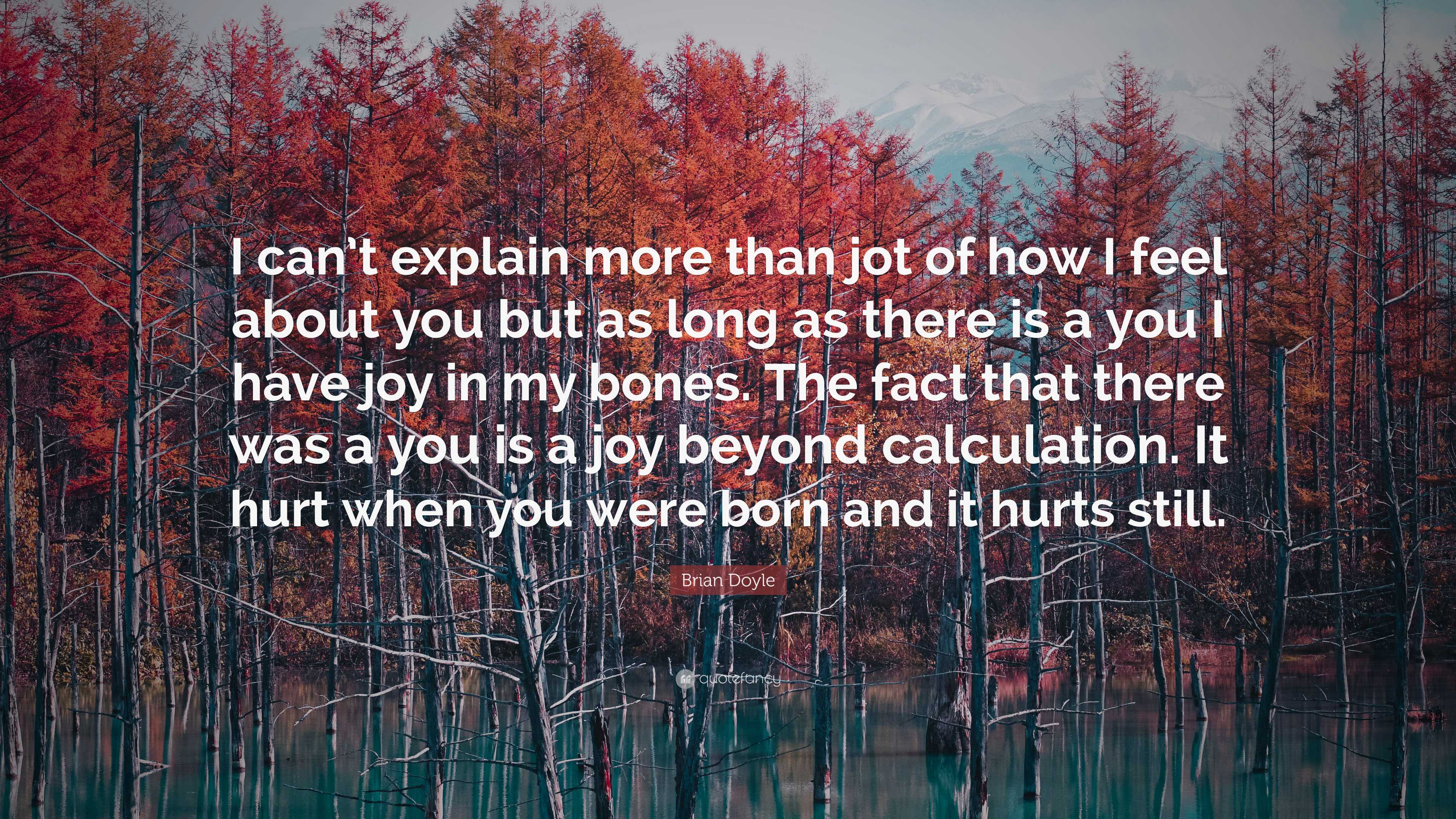 Brian Doyle Quote: “I can’t explain more than jot of how I feel about ...
