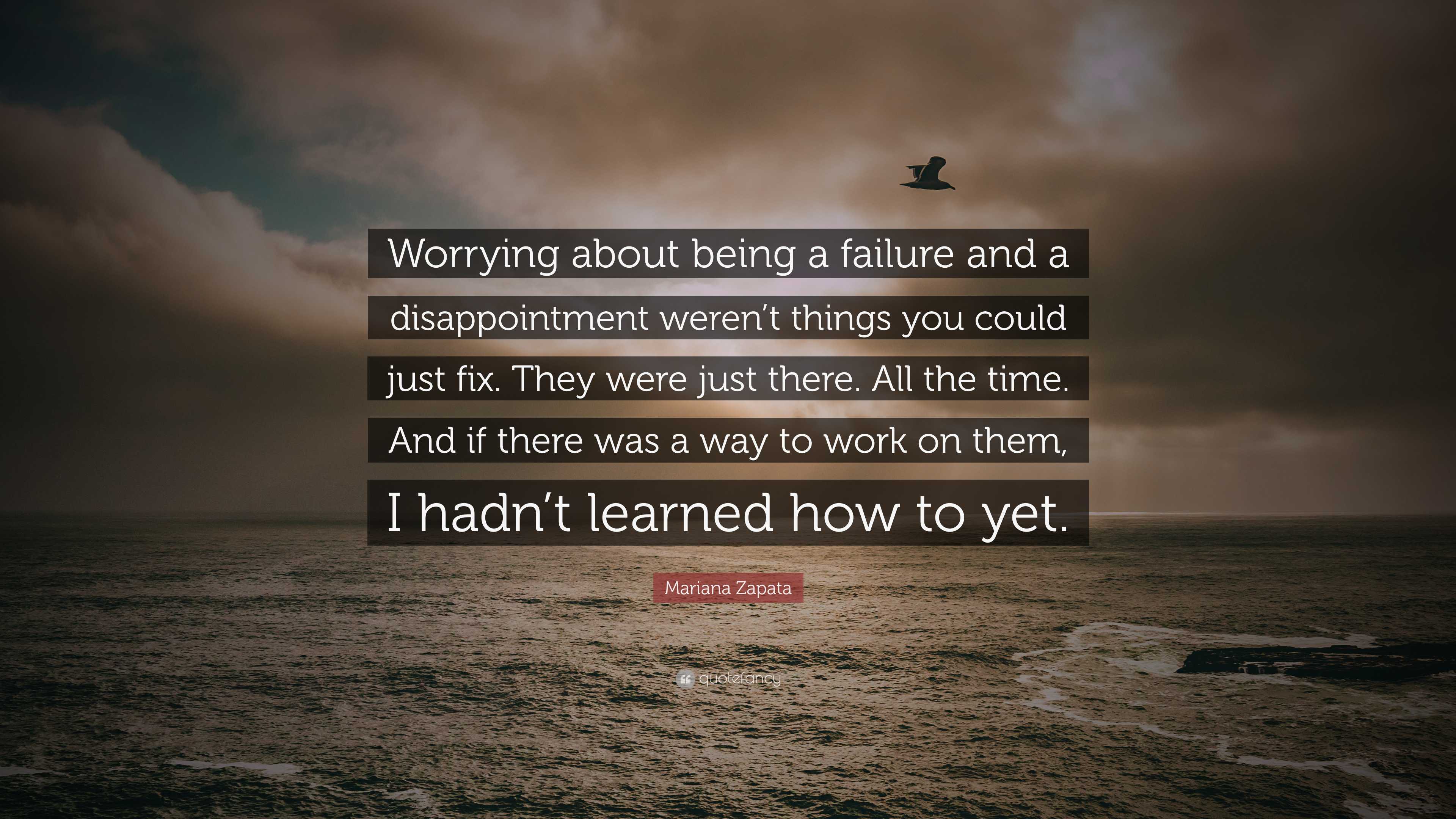 Mariana Zapata Quote: “Worrying about being a failure and a ...