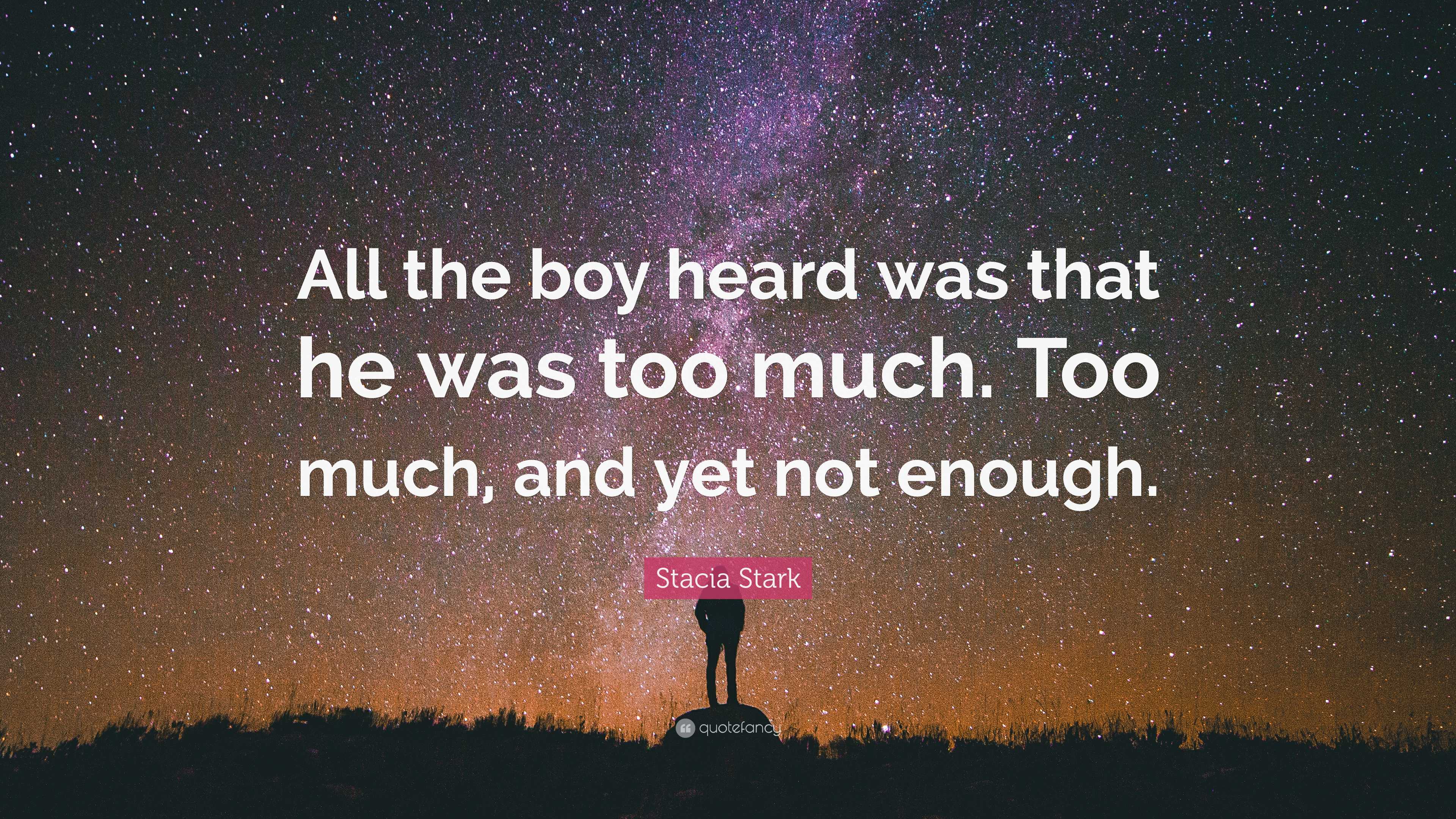 Stacia Stark Quote: “All the boy heard was that he was too much. Too ...