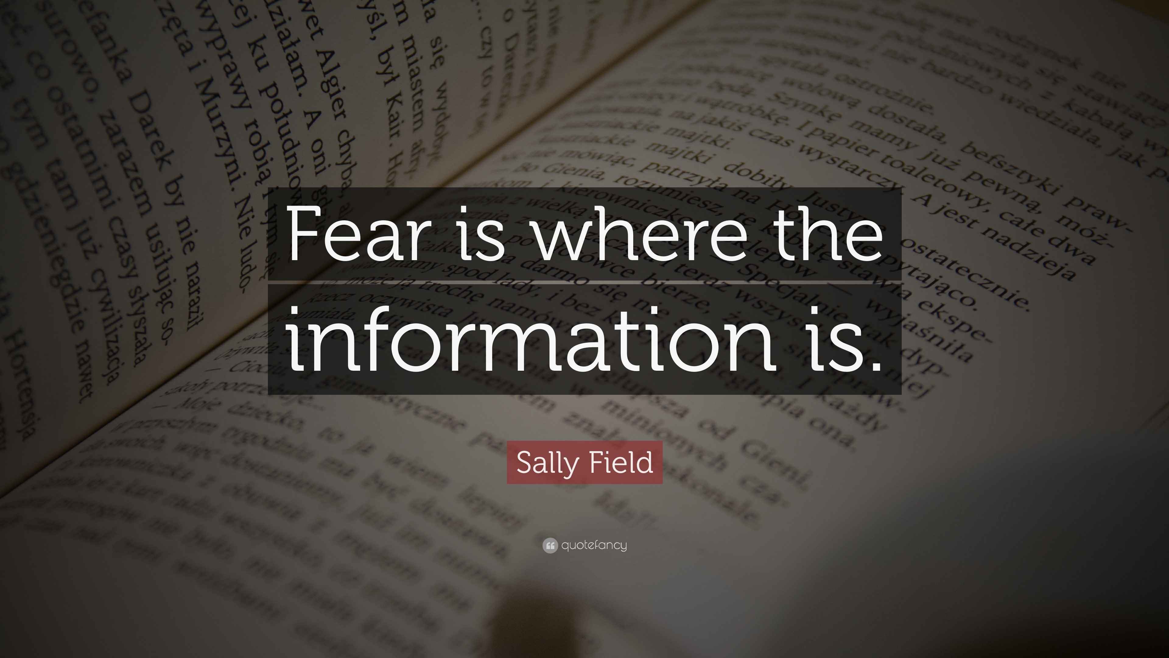 Sally Field Quote: “Fear is where the information is.”
