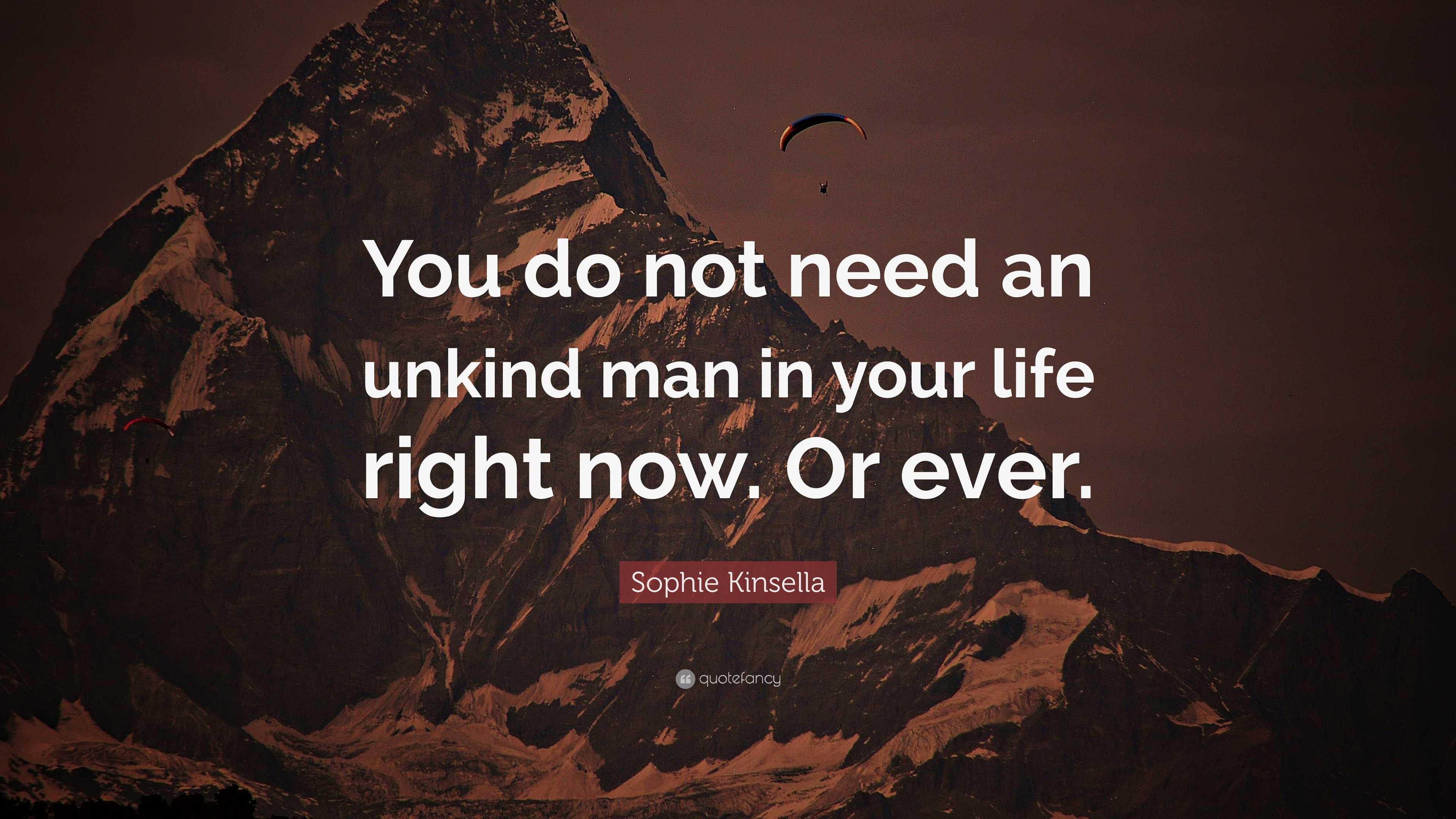 Sophie Kinsella Quote: “You do not need an unkind man in your life ...