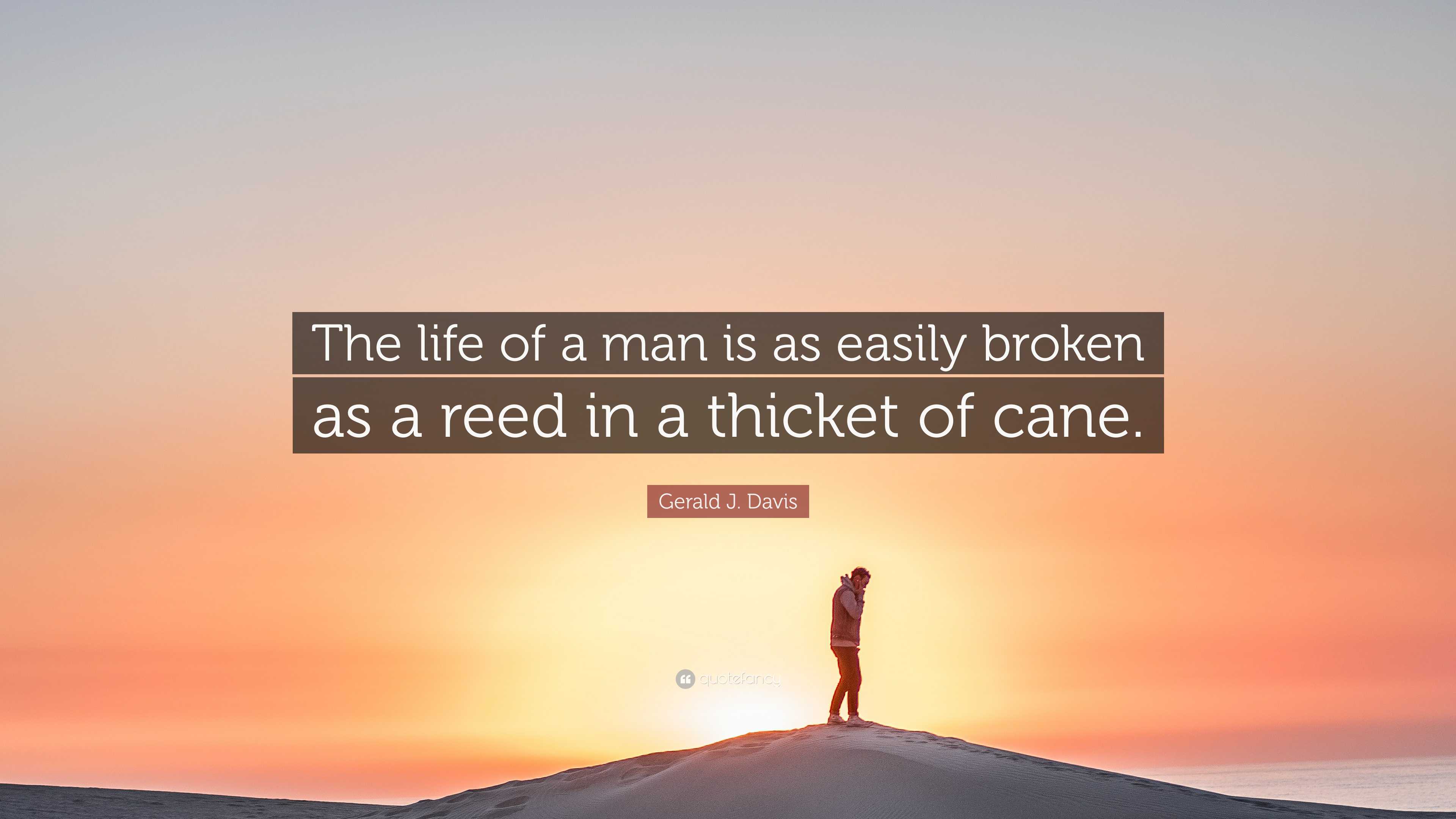 Gerald J. Davis Quote: “The life of a man is as easily broken as a reed ...