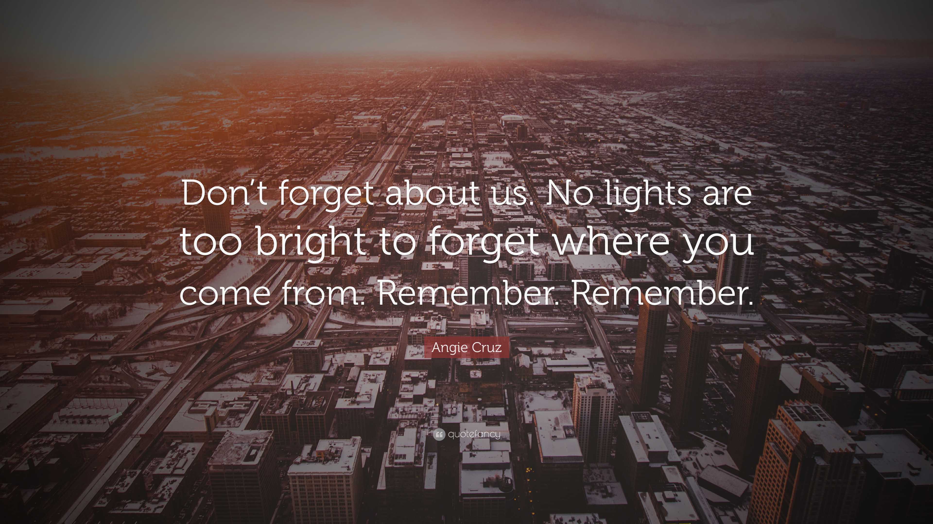 Angie Cruz Quote: “Don’t forget about us. No lights are too bright to ...