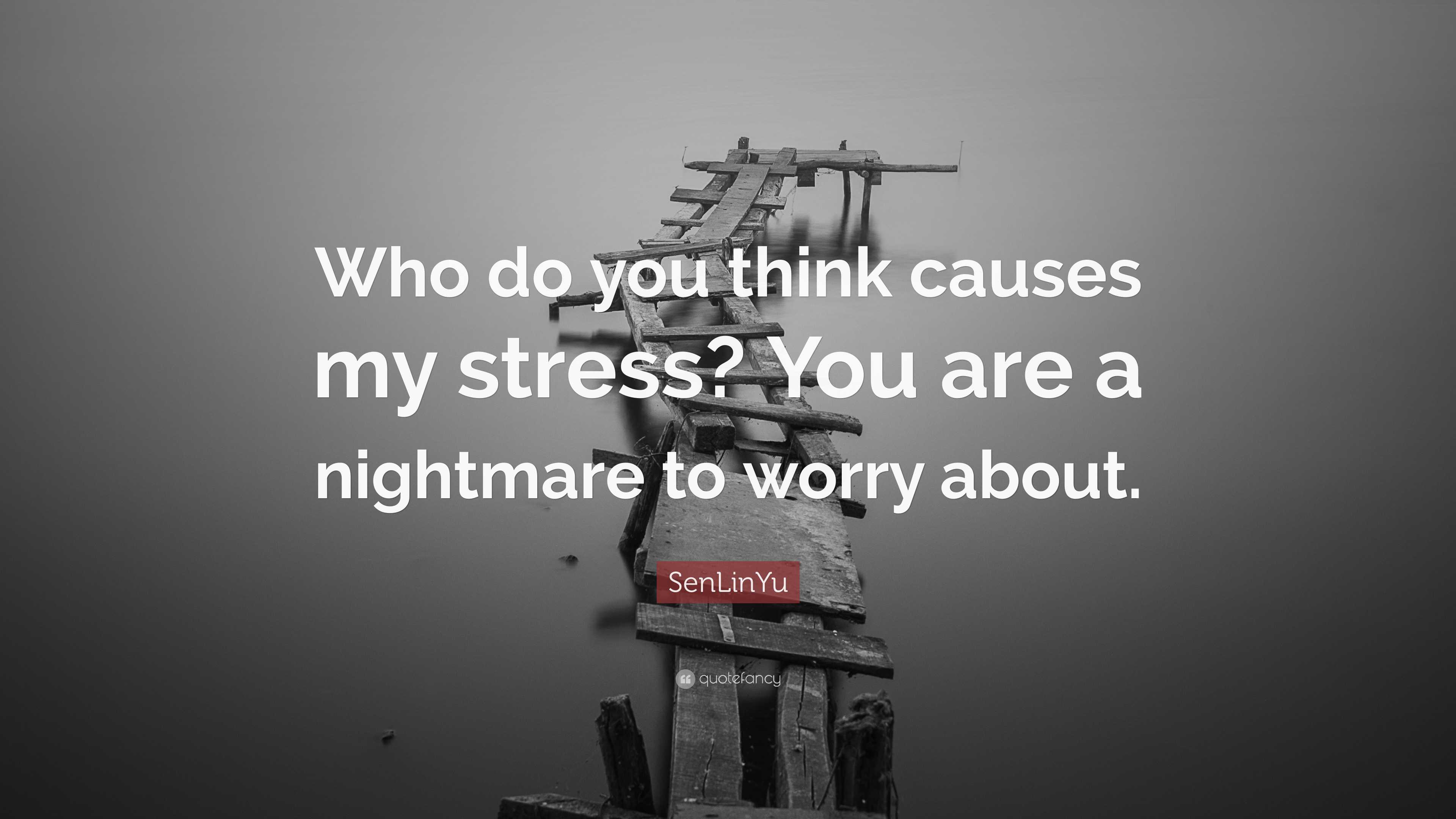 SenLinYu Quote: “Who do you think causes my stress? You are a nightmare ...