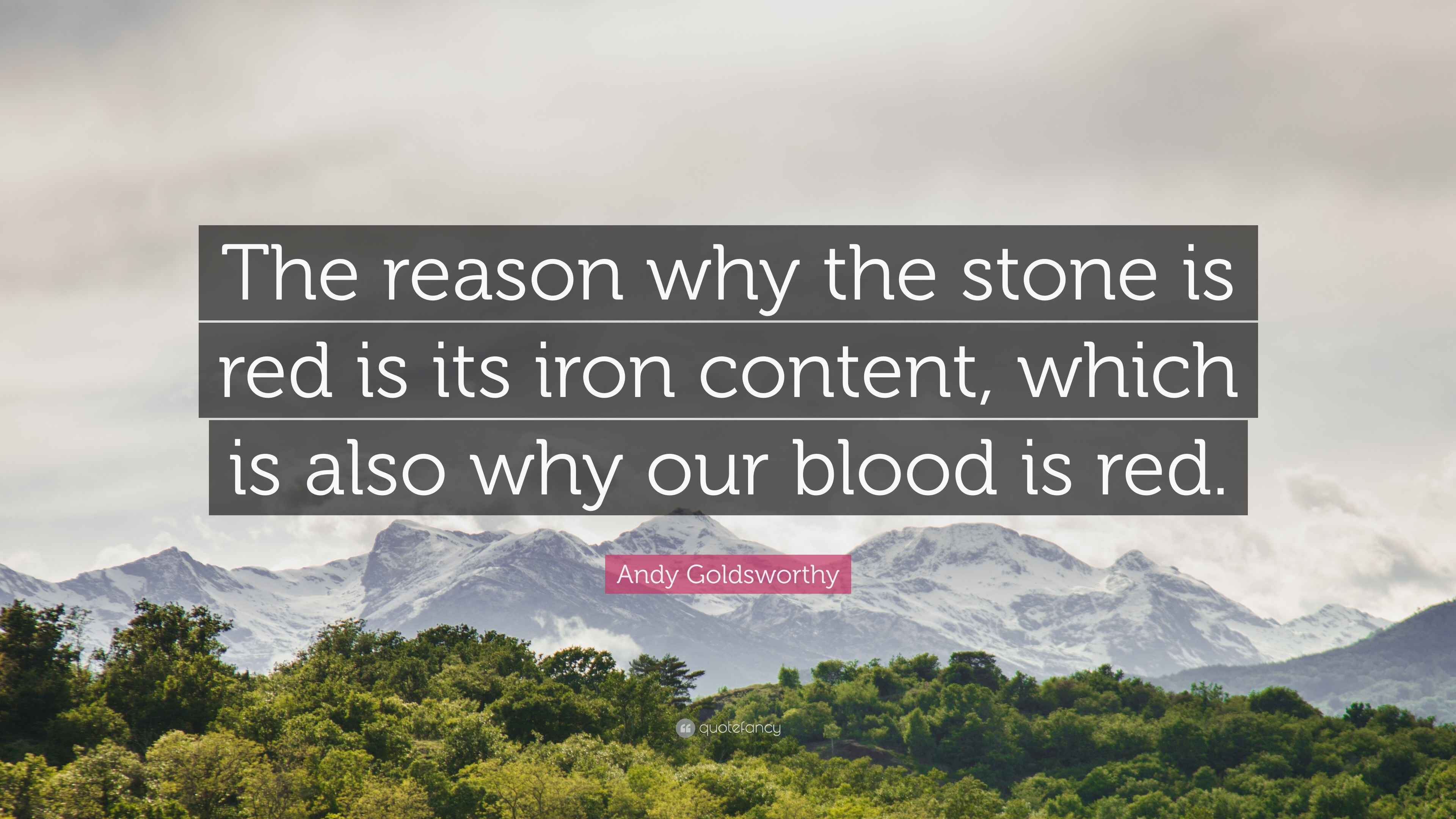 Andy Goldsworthy Quote: “The reason why the stone is red is its iron ...
