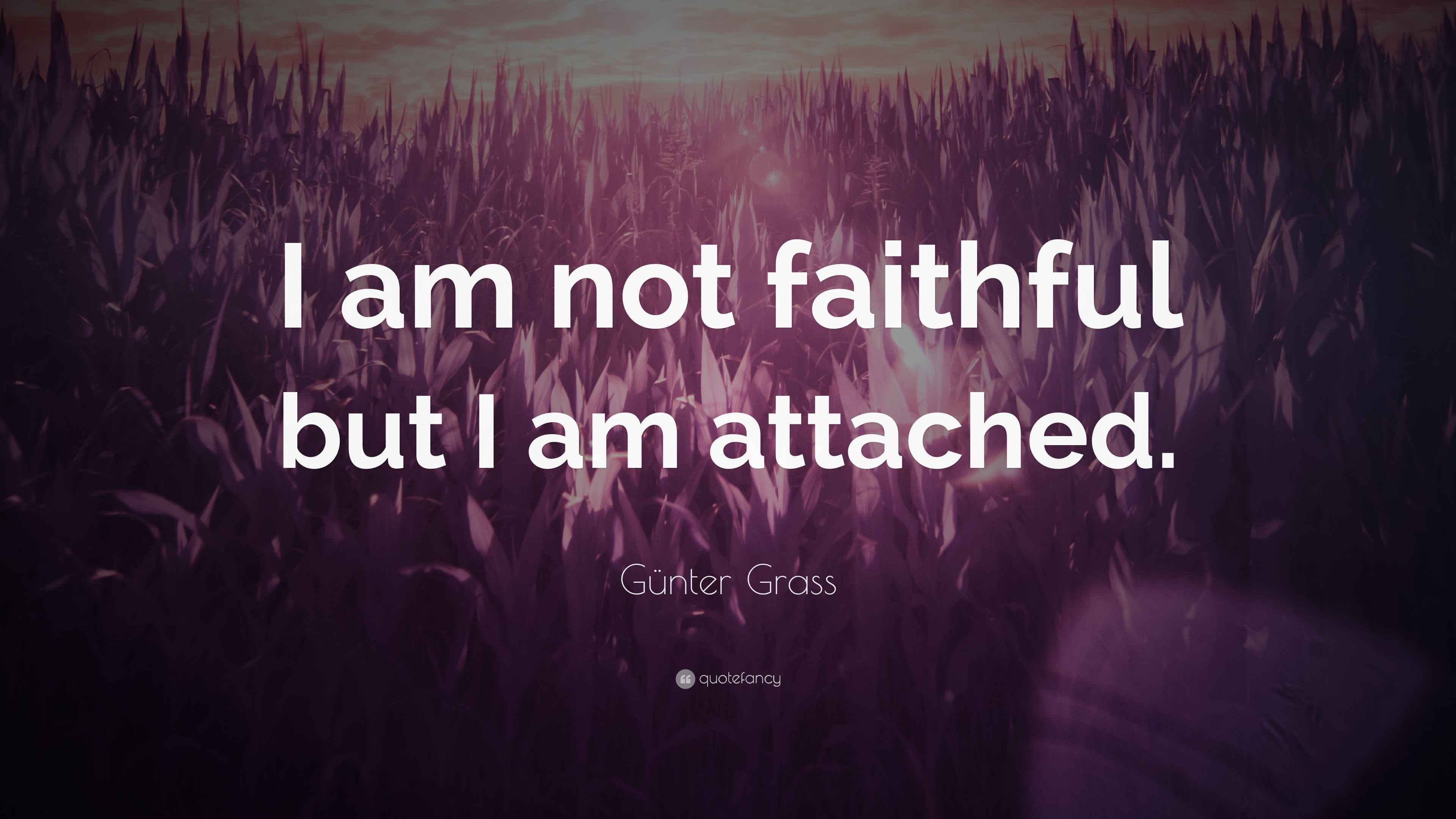 Günter Grass Quote: “I am not faithful but I am attached.”