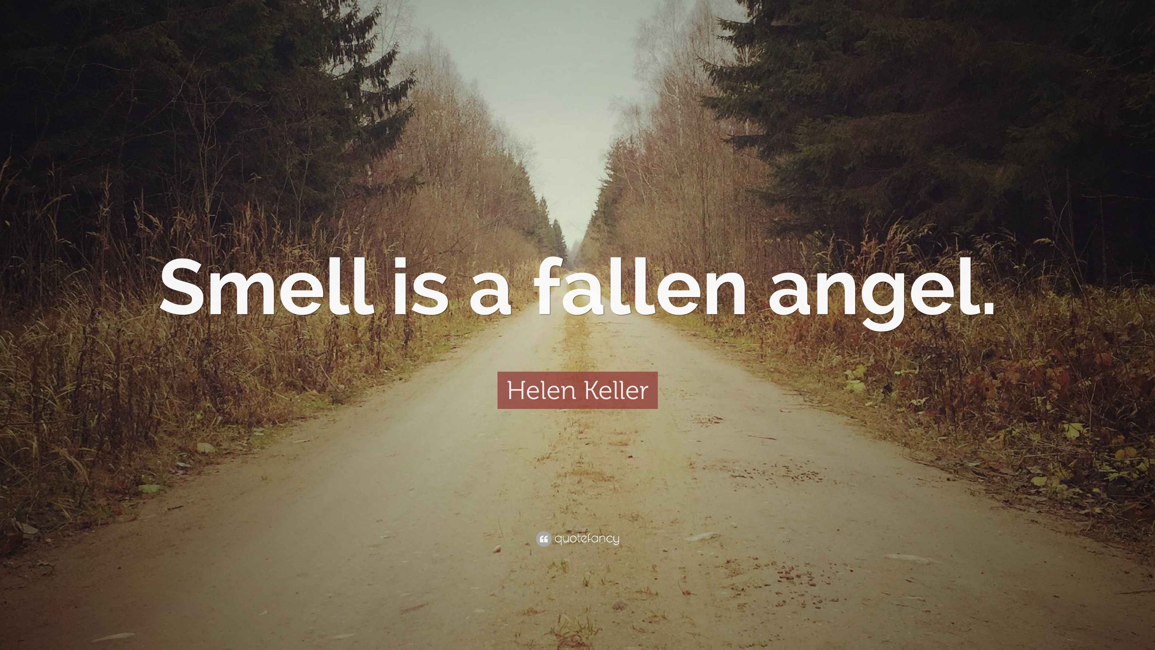 Helen Keller Quote: “Smell is a fallen angel.”