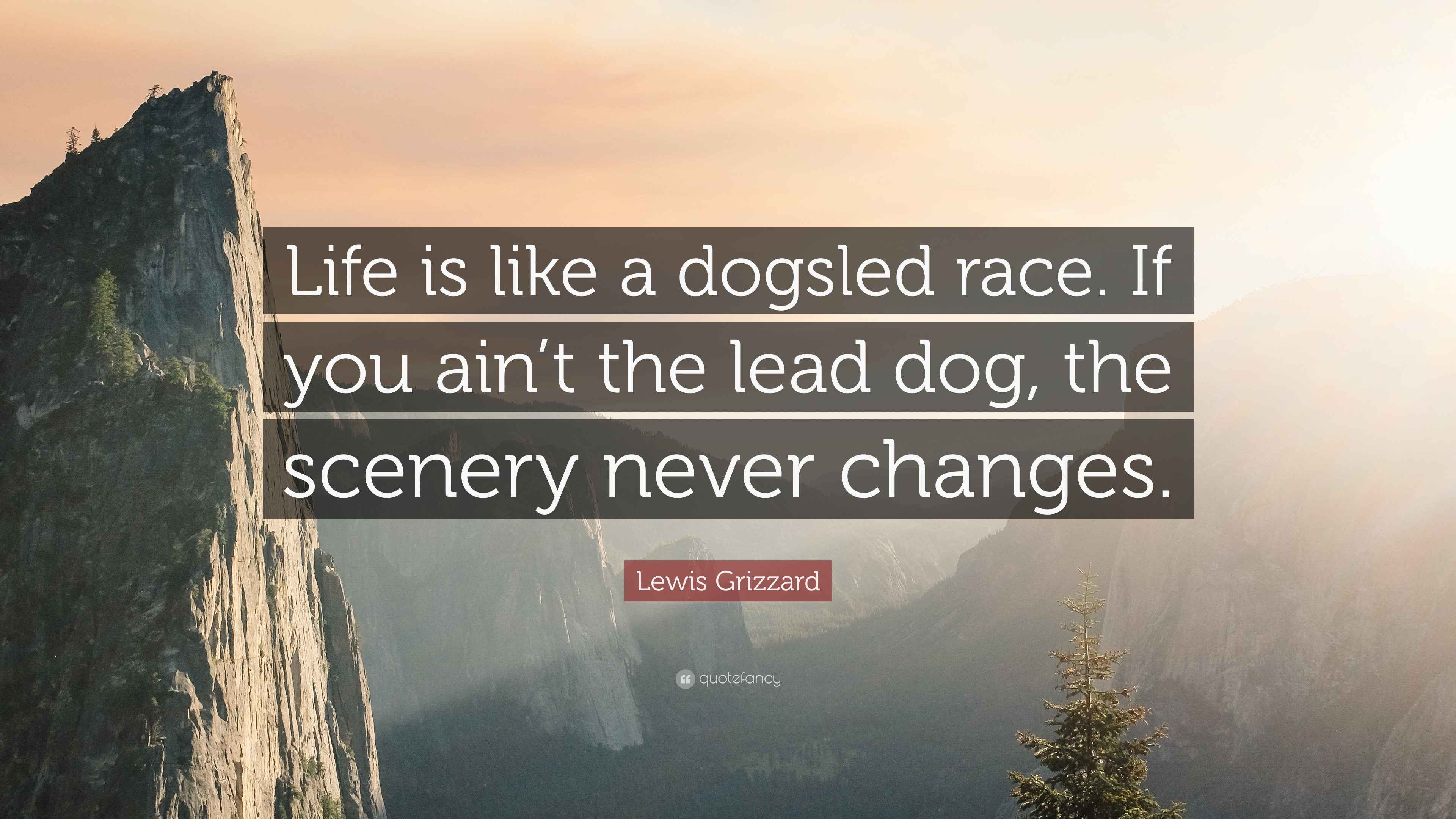 Lewis Grizzard Quote: “Life is like a dogsled race. If you ain’t the ...
