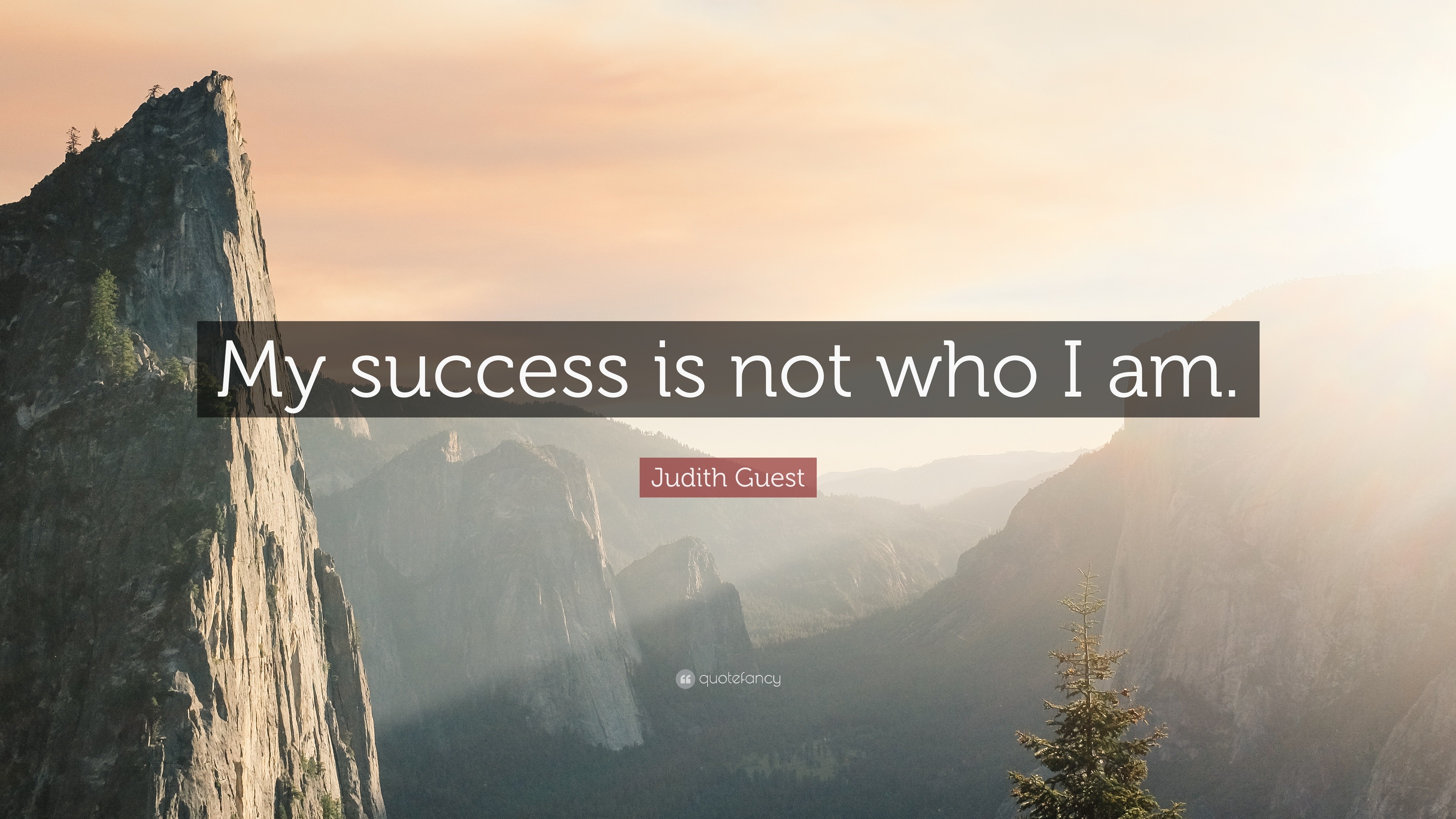 Judith Guest Quote: “My success is not who I am.”