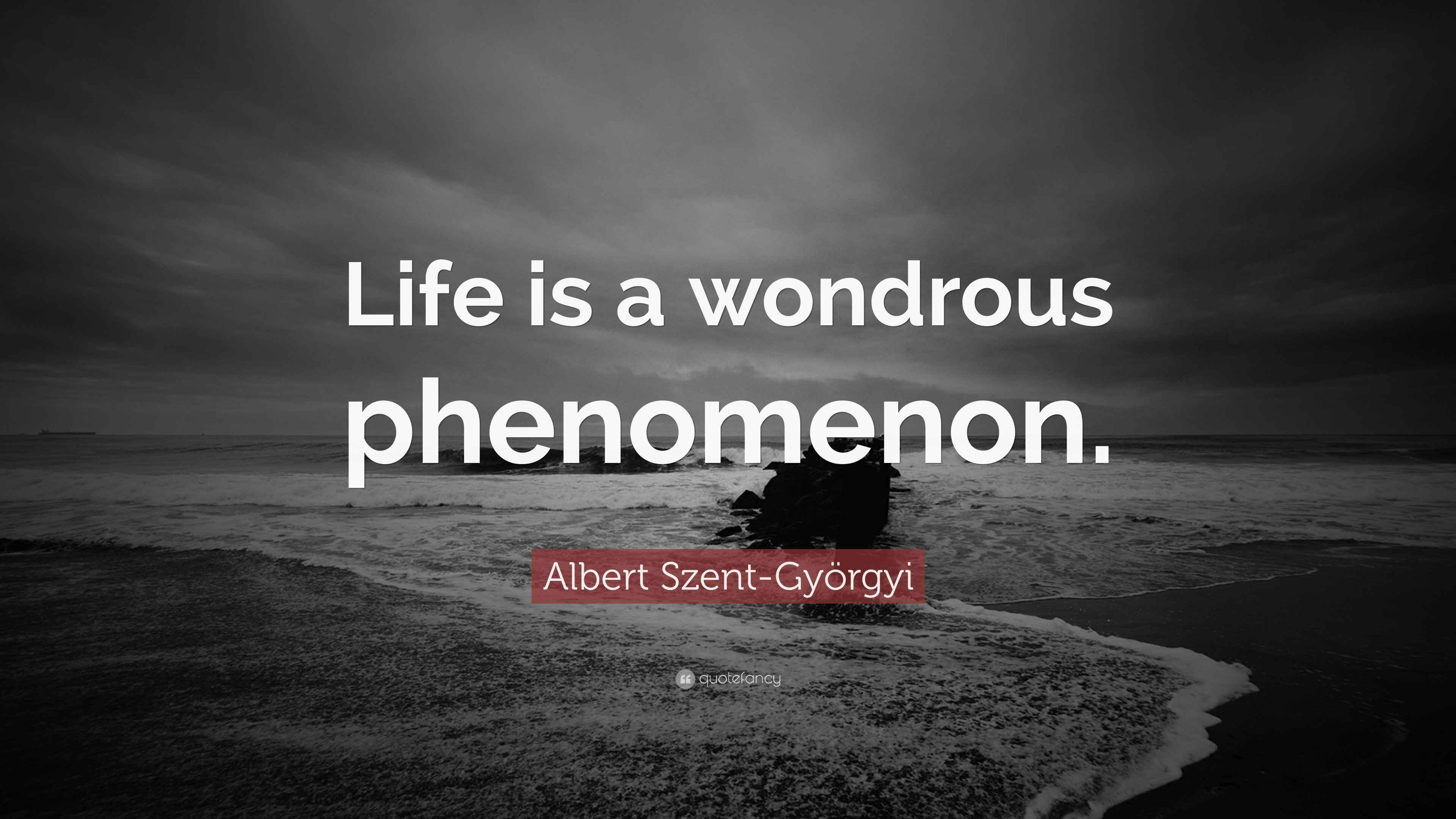 Albert Szent-Györgyi Quote: “Life is a wondrous phenomenon.”