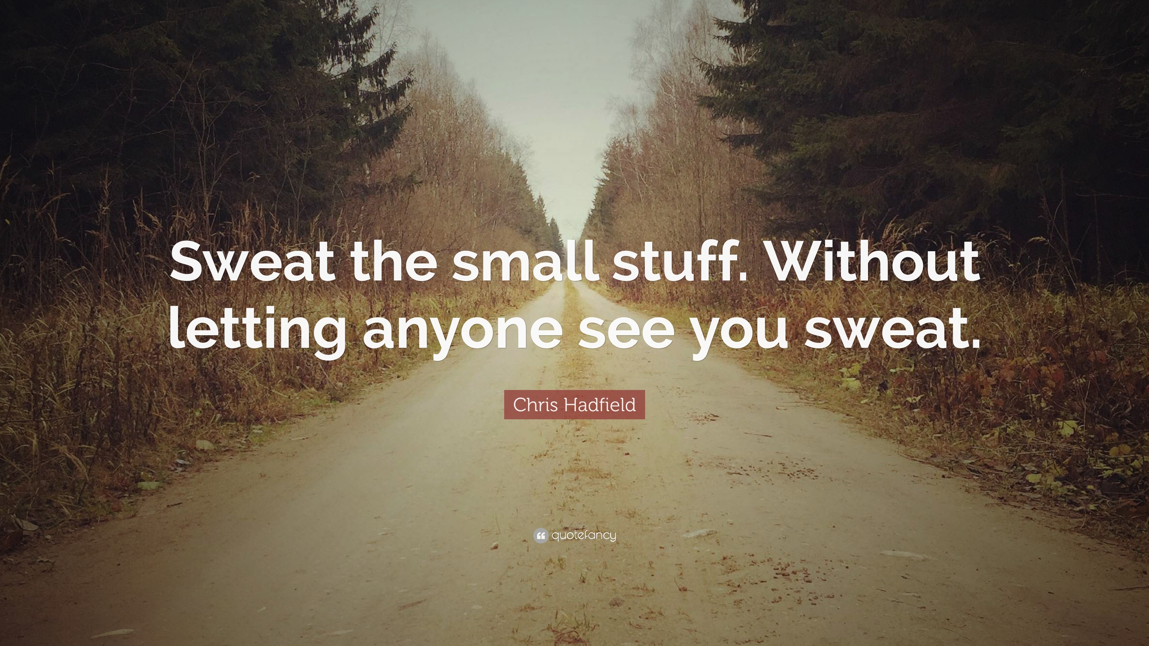 Chris Hadfield Quote: “Sweat the small stuff. Without letting anyone ...