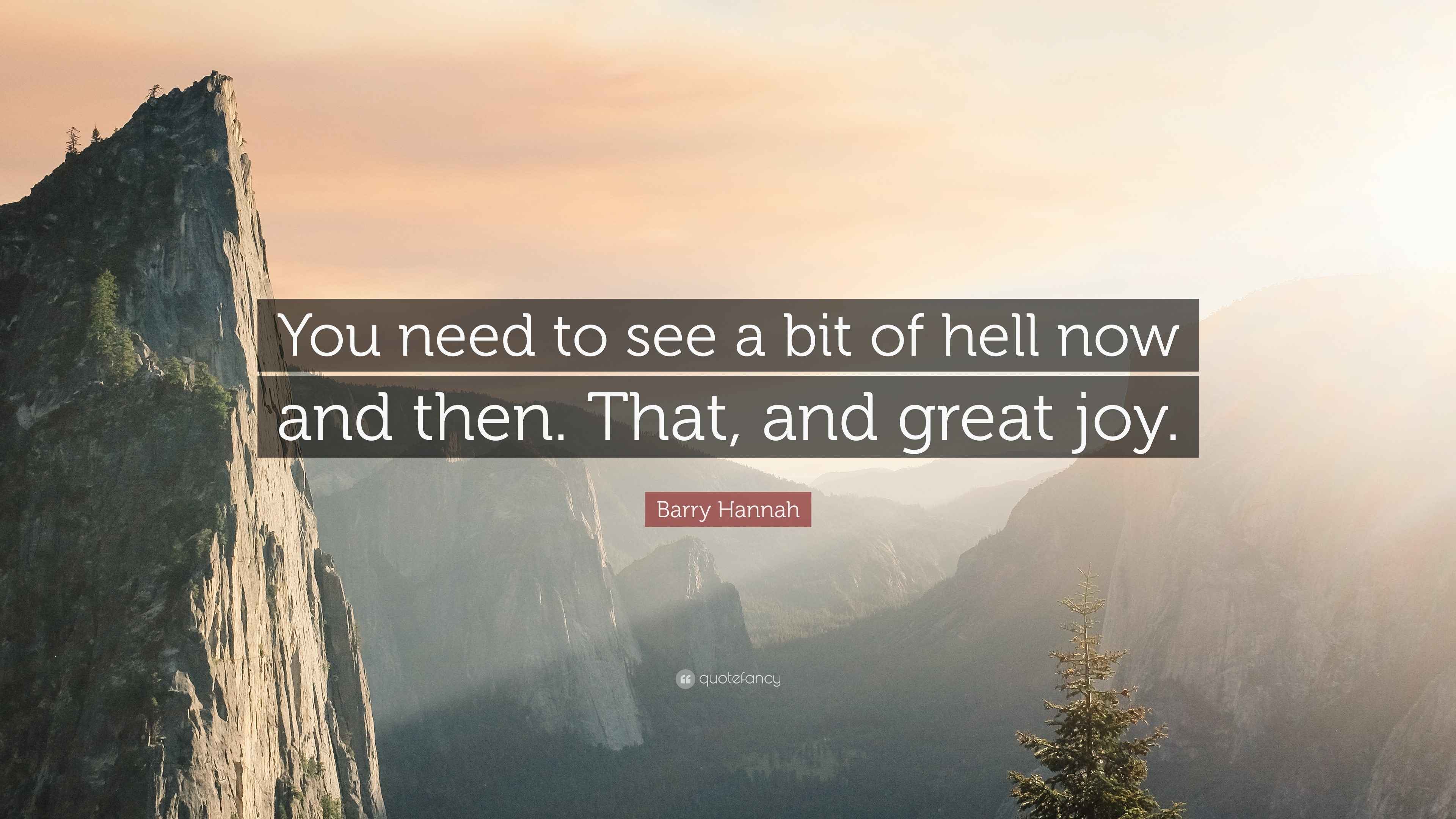 Barry Hannah Quote: “You need to see a bit of hell now and then. That ...