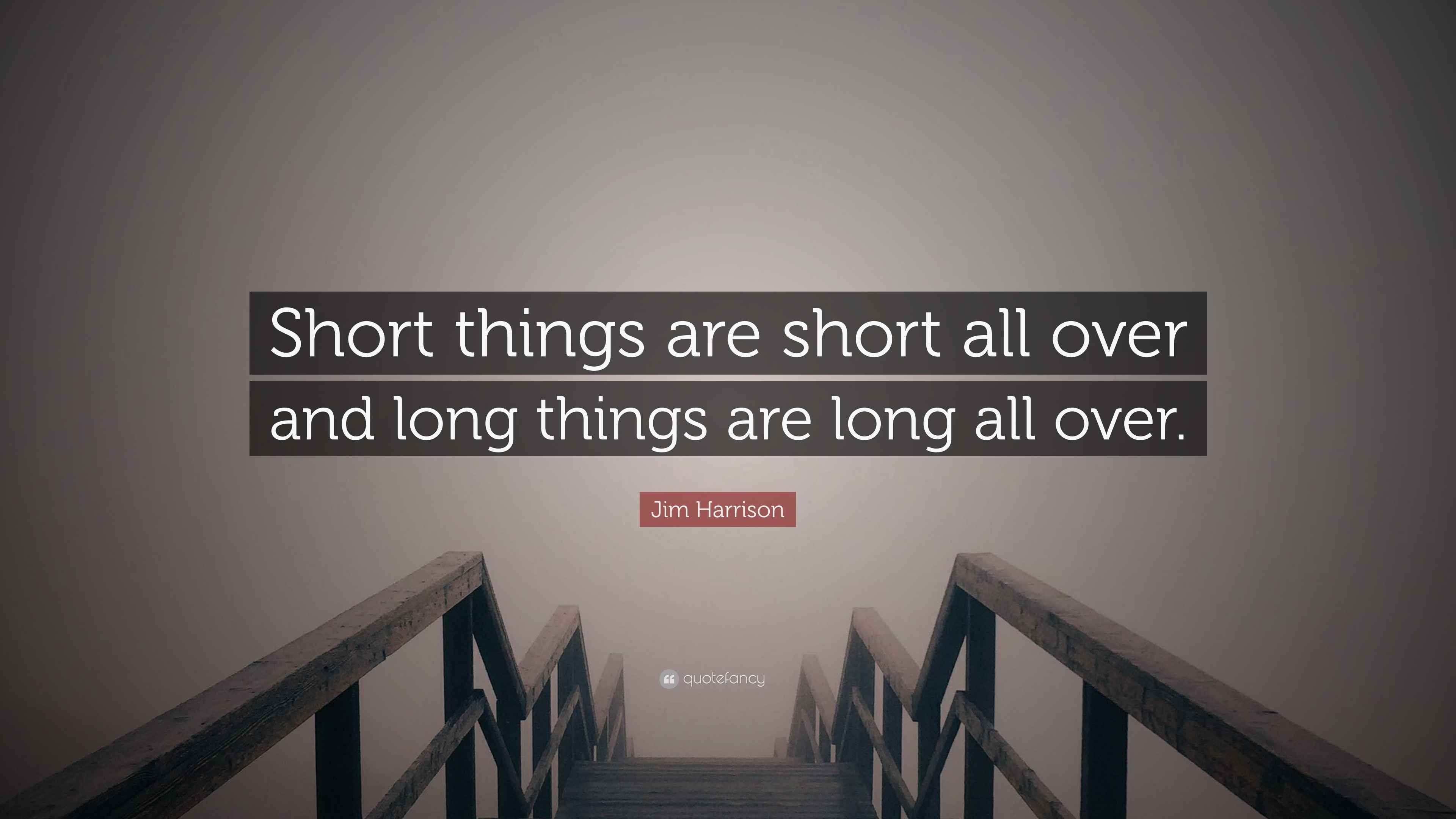 Jim Harrison Quote: “Short things are short all over and long things ...