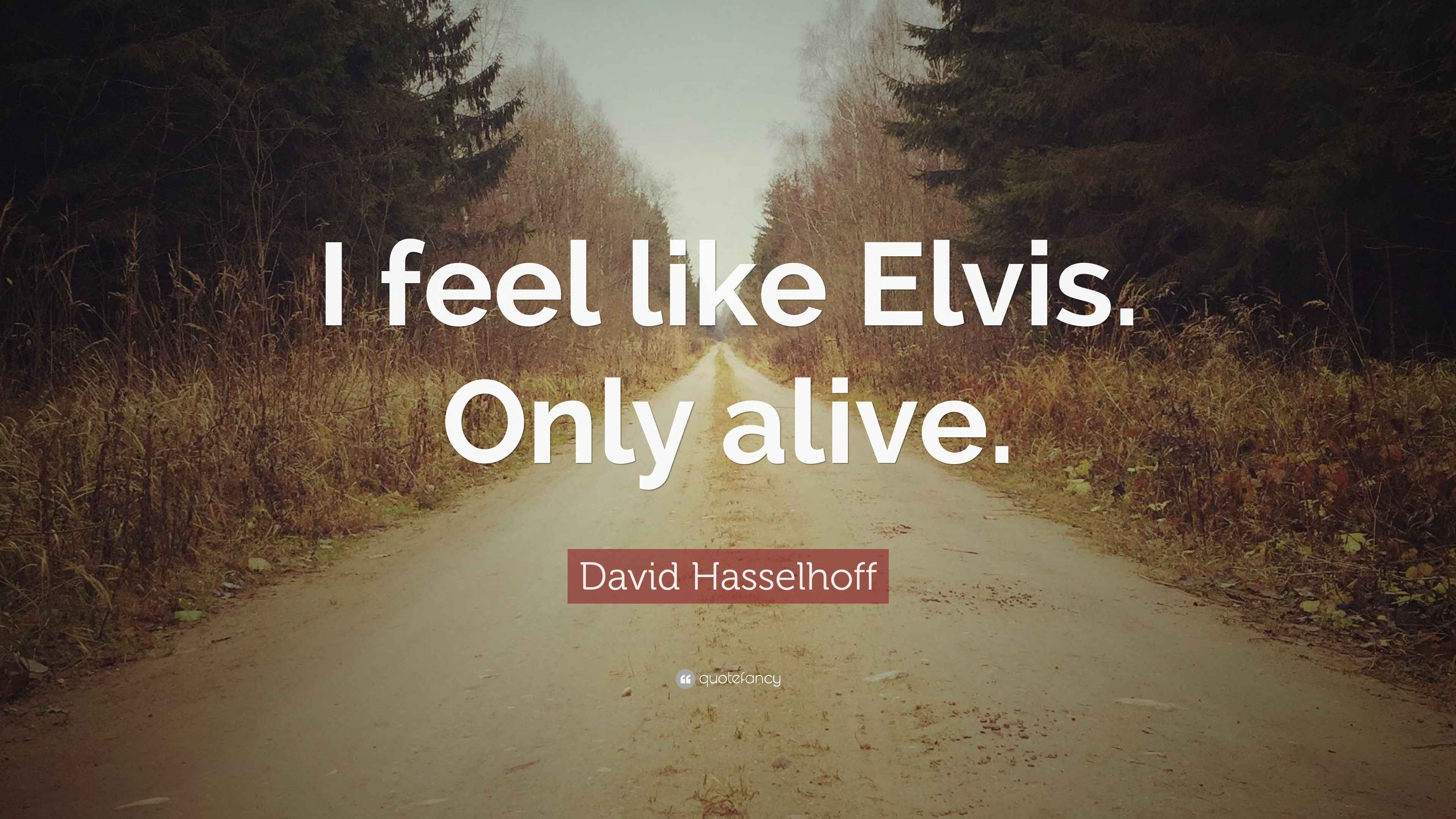 David Hasselhoff Quote: “I feel like Elvis. Only alive.”