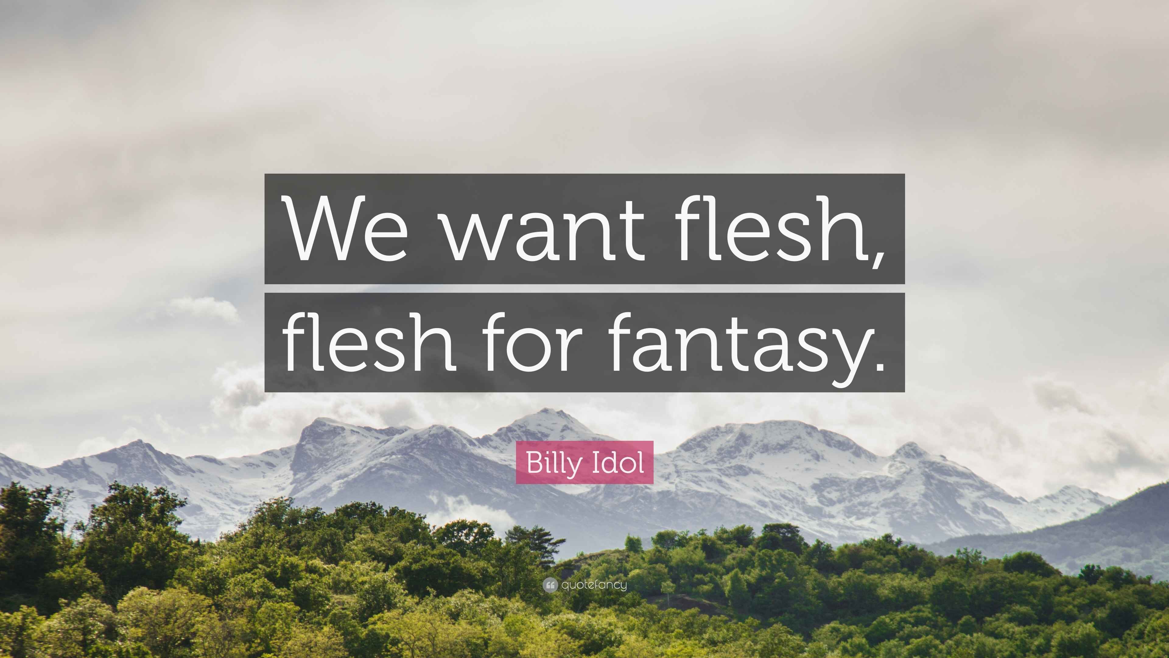 Billy Idol Quote: “We want flesh, flesh for fantasy.”