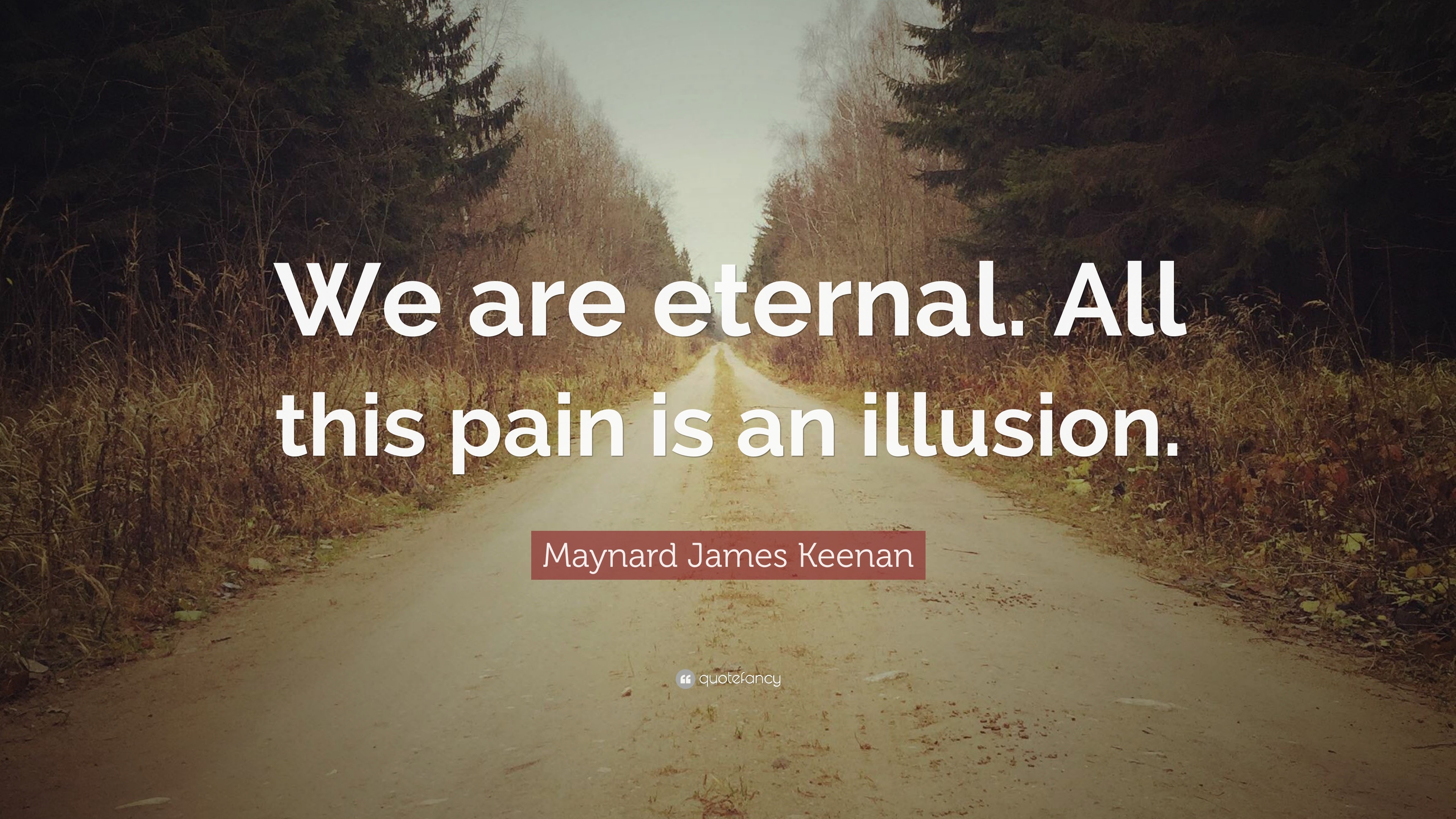 Maynard James Keenan Quote: “We are eternal. All this pain is an illusion.”