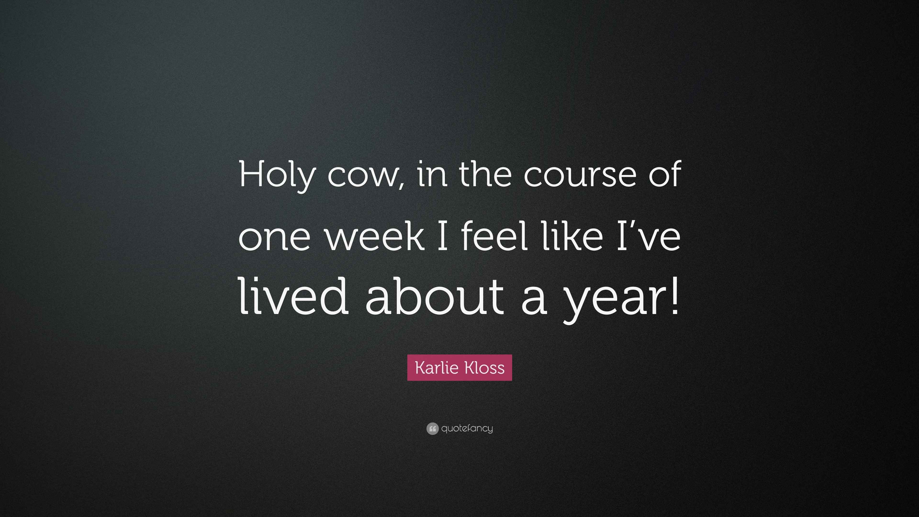 Karlie Kloss Quote: “Holy cow, in the course of one week I feel like I ...