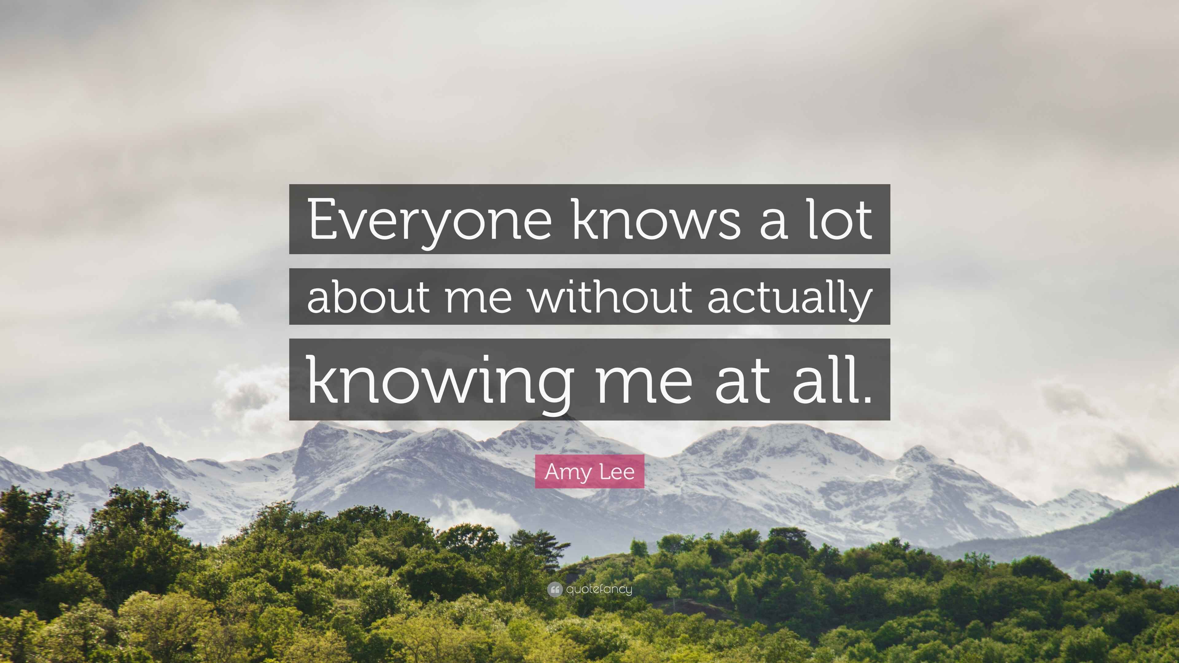 Amy Lee Quote: “Everyone knows a lot about me without actually knowing ...