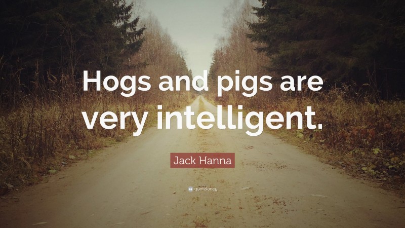 Jack Hanna Quote: “Hogs and pigs are very intelligent.”