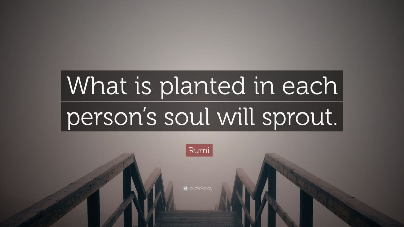 Rumi Quote: “What is planted in each person’s soul will sprout.”