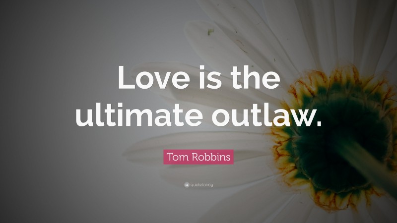 Tom Robbins Quote: “Love is the ultimate outlaw.”