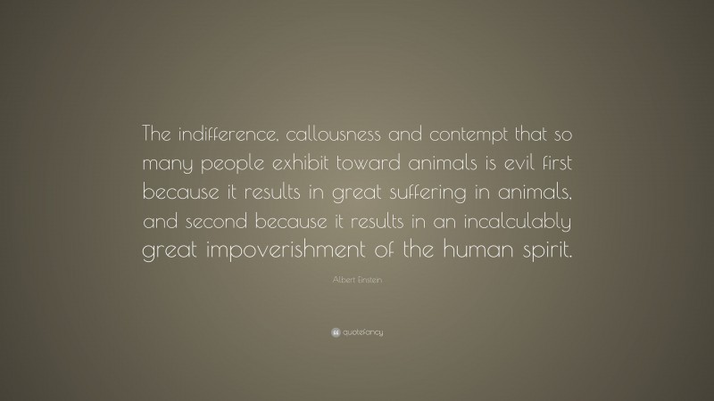 Albert Einstein Quote: “The indifference, callousness and contempt that ...