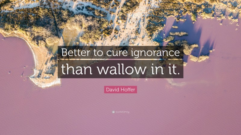 David Hoffer Quote: “Better to cure ignorance than wallow in it.”