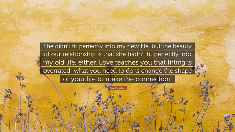 David Levithan Quote: “She didn’t fit perfectly into my new life, but ...