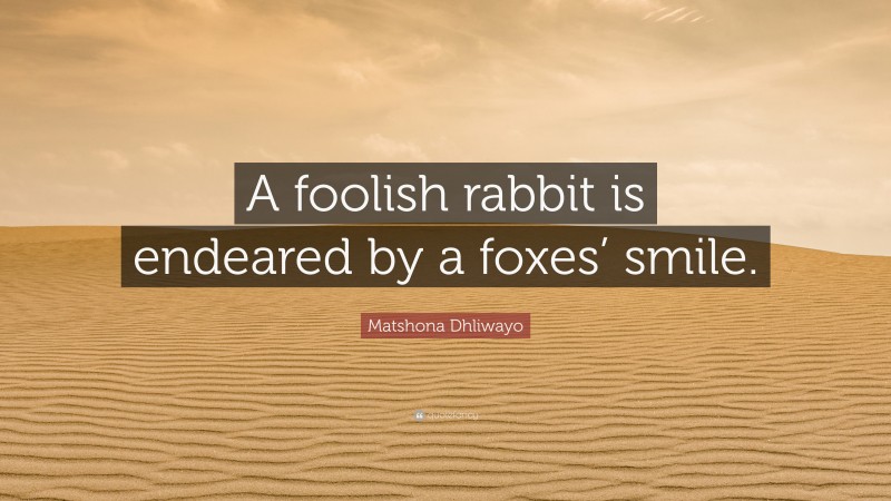 Matshona Dhliwayo Quote: “A foolish rabbit is endeared by a foxes’ smile.”